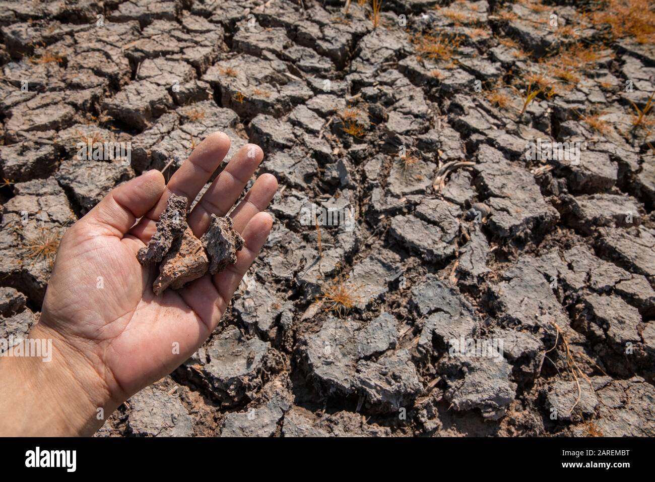 Land handle with dry ground and cracking global warming Stock Photo - Alamy