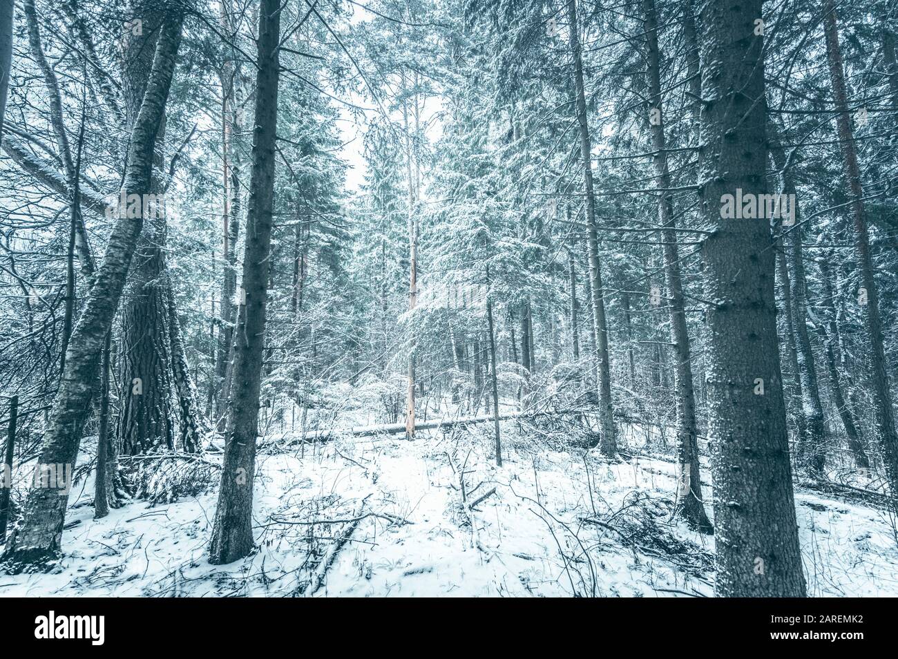 Winter horizontal backdrop hi-res stock photography and images - Alamy