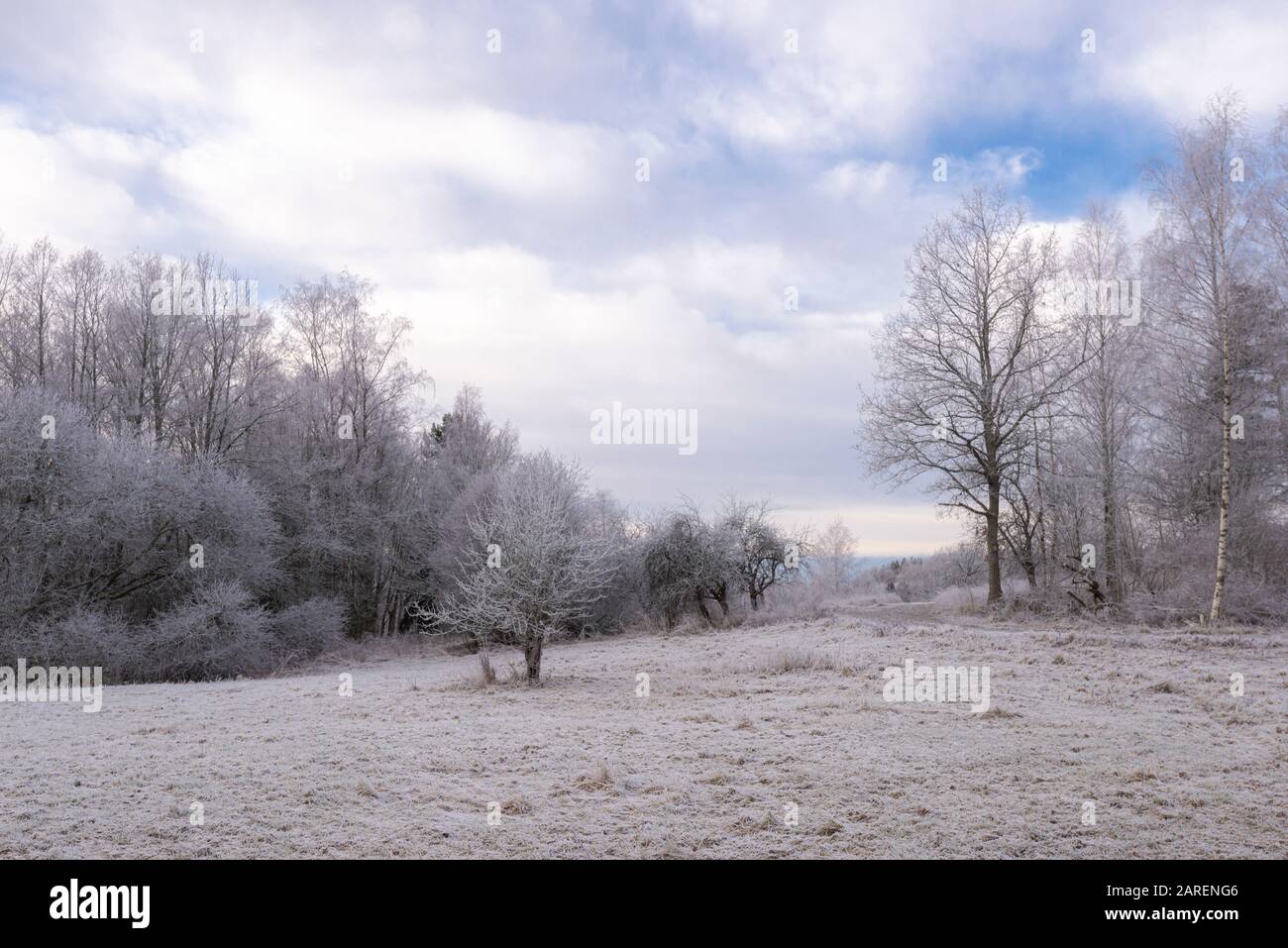 Empty fields in winter covered with the first snow Stock Photo - Alamy