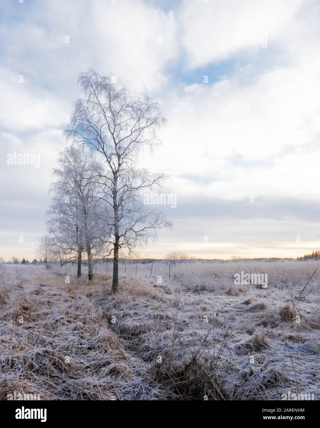 Empty fields in winter covered with the first snow Stock Photo - Alamy