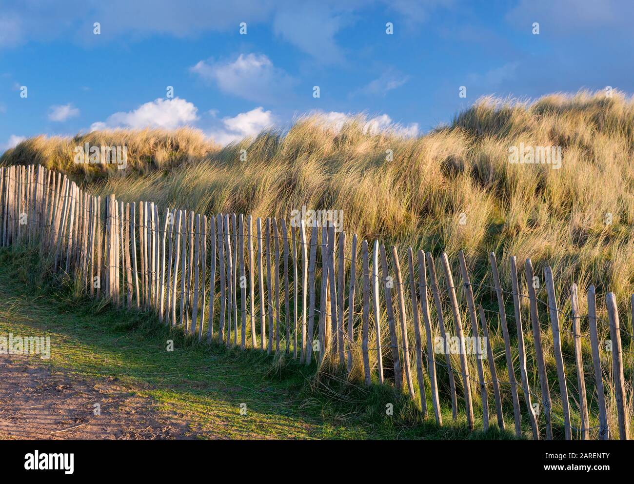 Northam burrows and country park, North Devon Stock Photo - Alamy