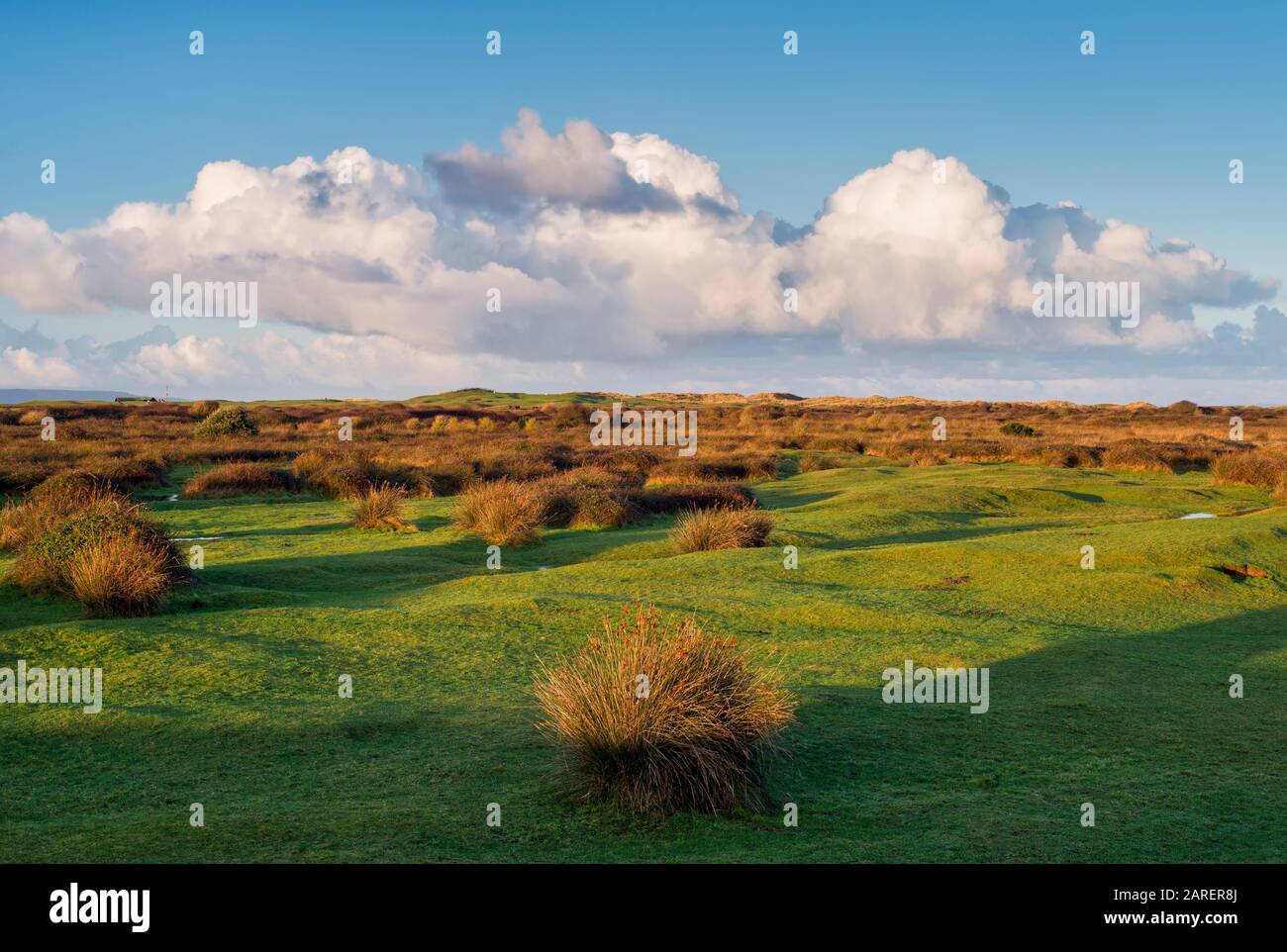 Northam burrows and country park, North Devon Stock Photo - Alamy