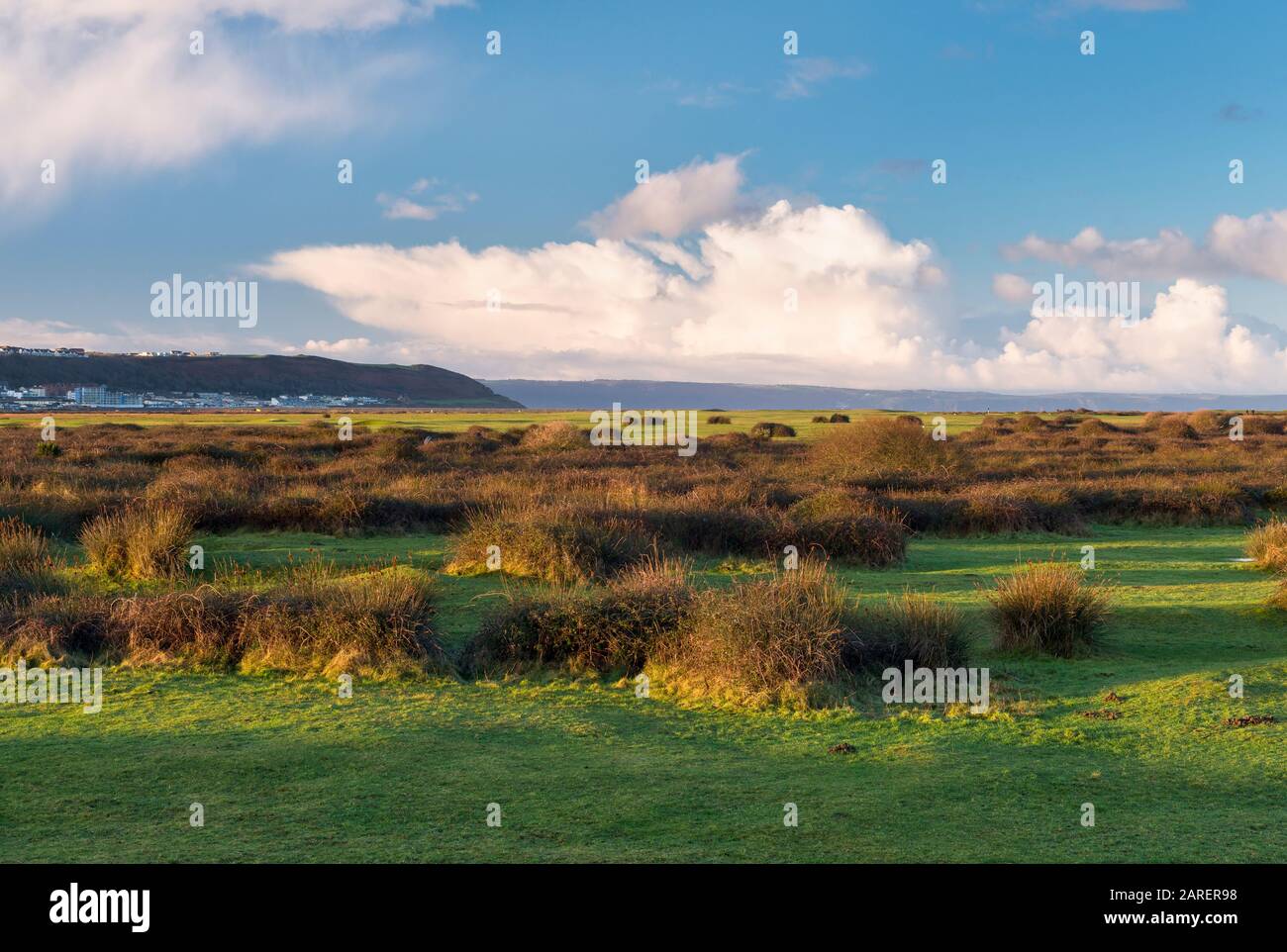 Northam_burrows_country_park hi-res stock photography and images - Alamy