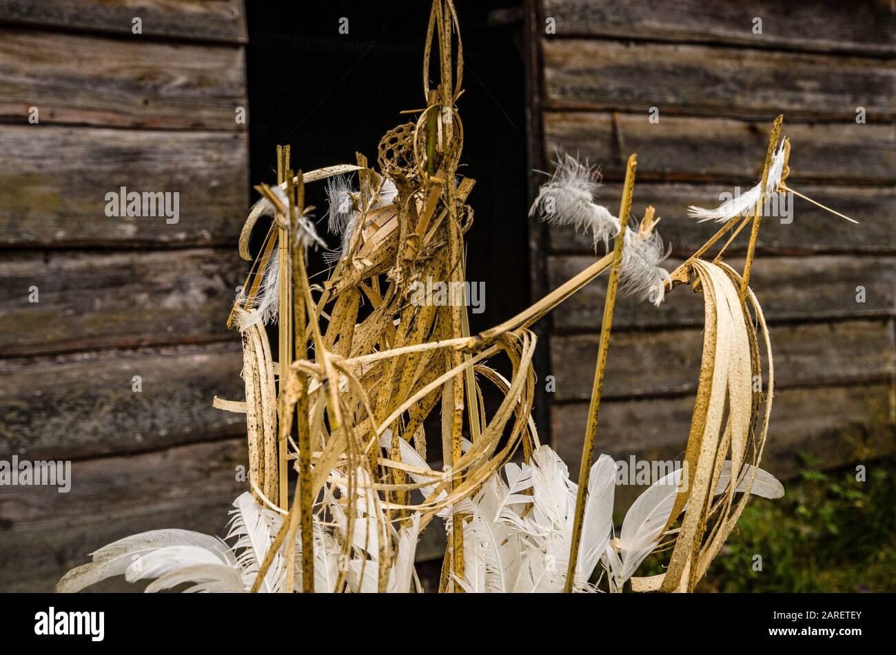 Apatanis still use animistc rituals for maintaining health and good ...