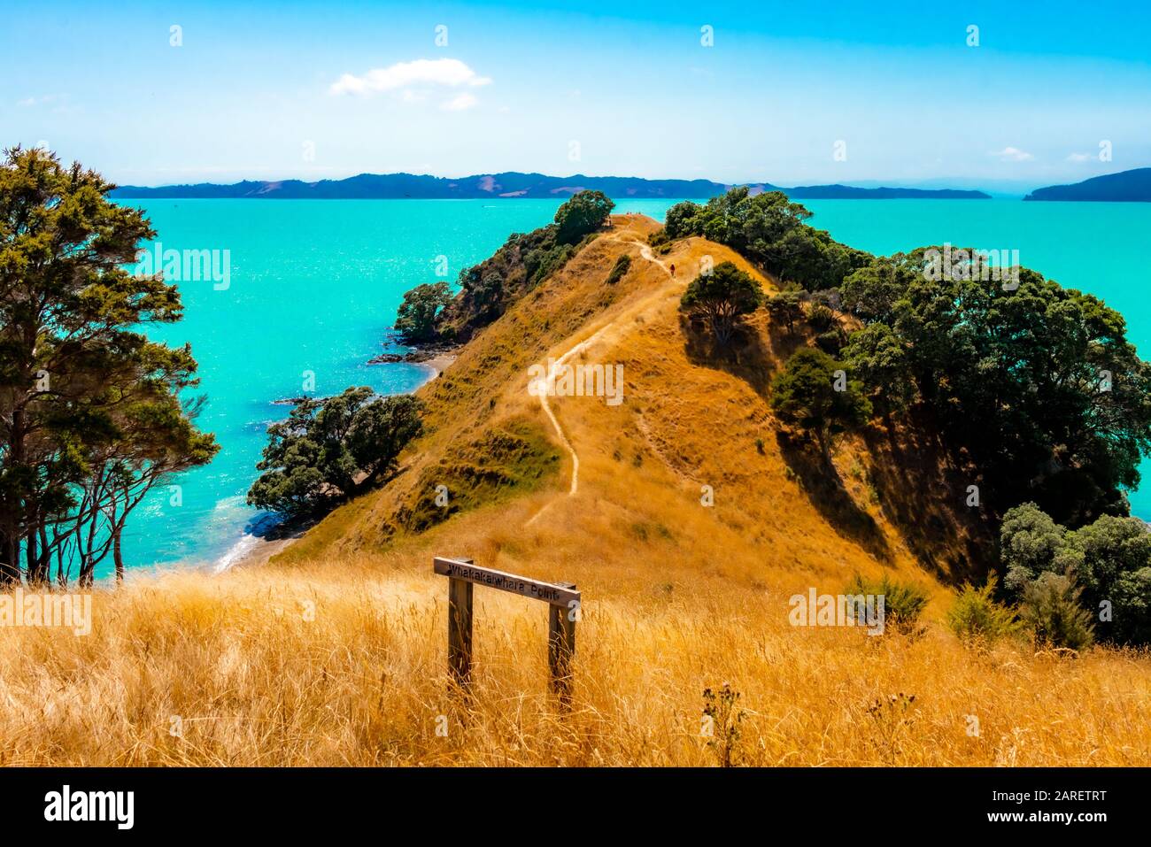 Duder Regional Park, Auckland, New Zealand Stock Photo - Alamy
