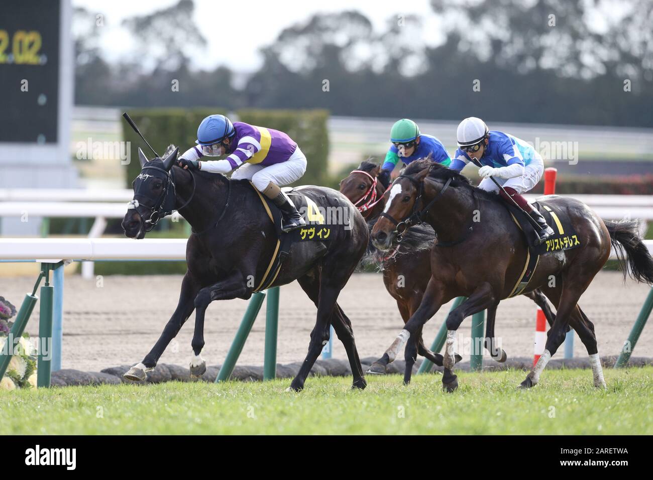 Kyoto, Japan. 26th Jan, 2020. Kevin (Ryuji Wada) Horse Racing : Kevin ...