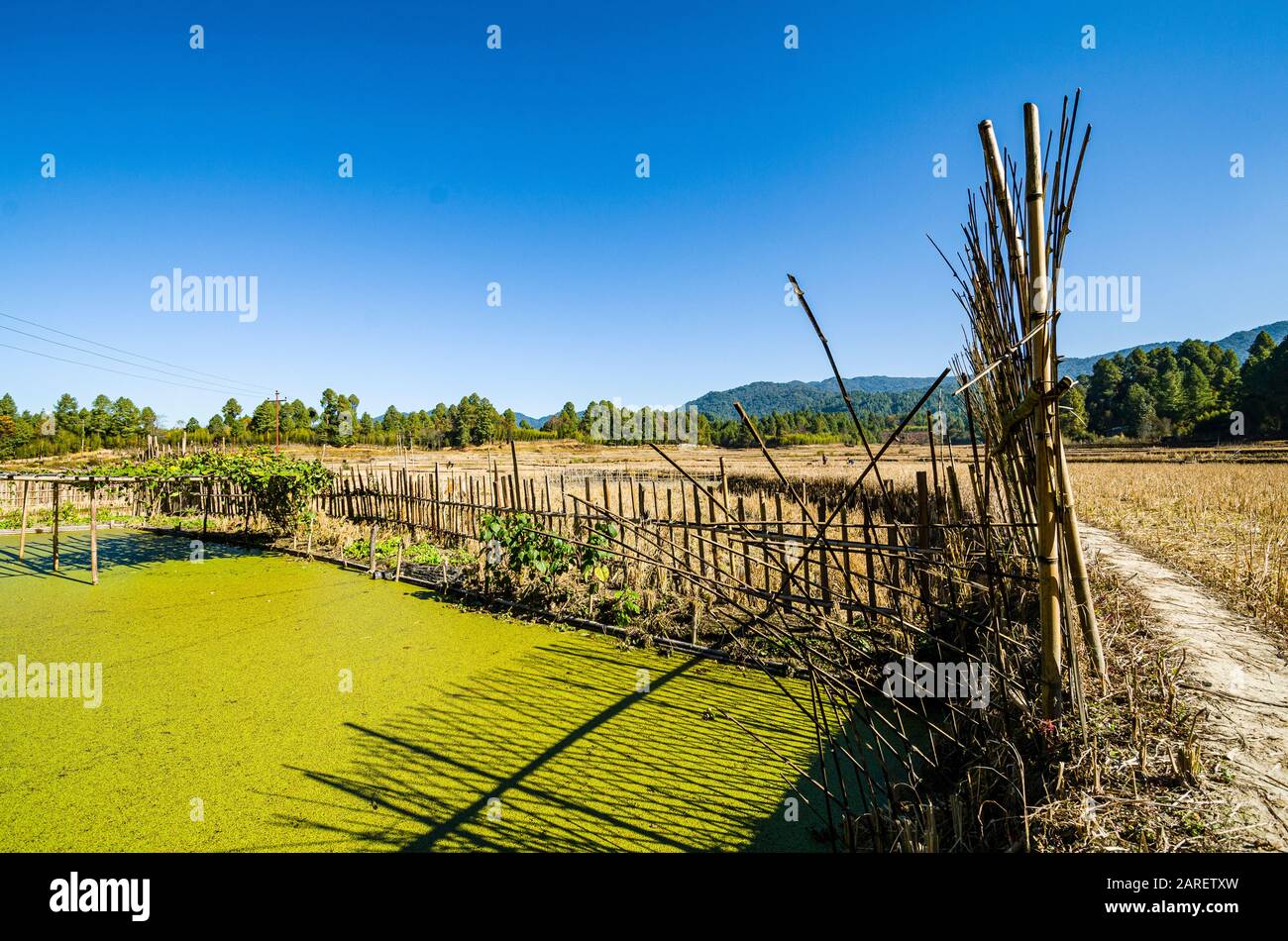 Typical rice fields and village structure of the Apatani tribe Stock ...