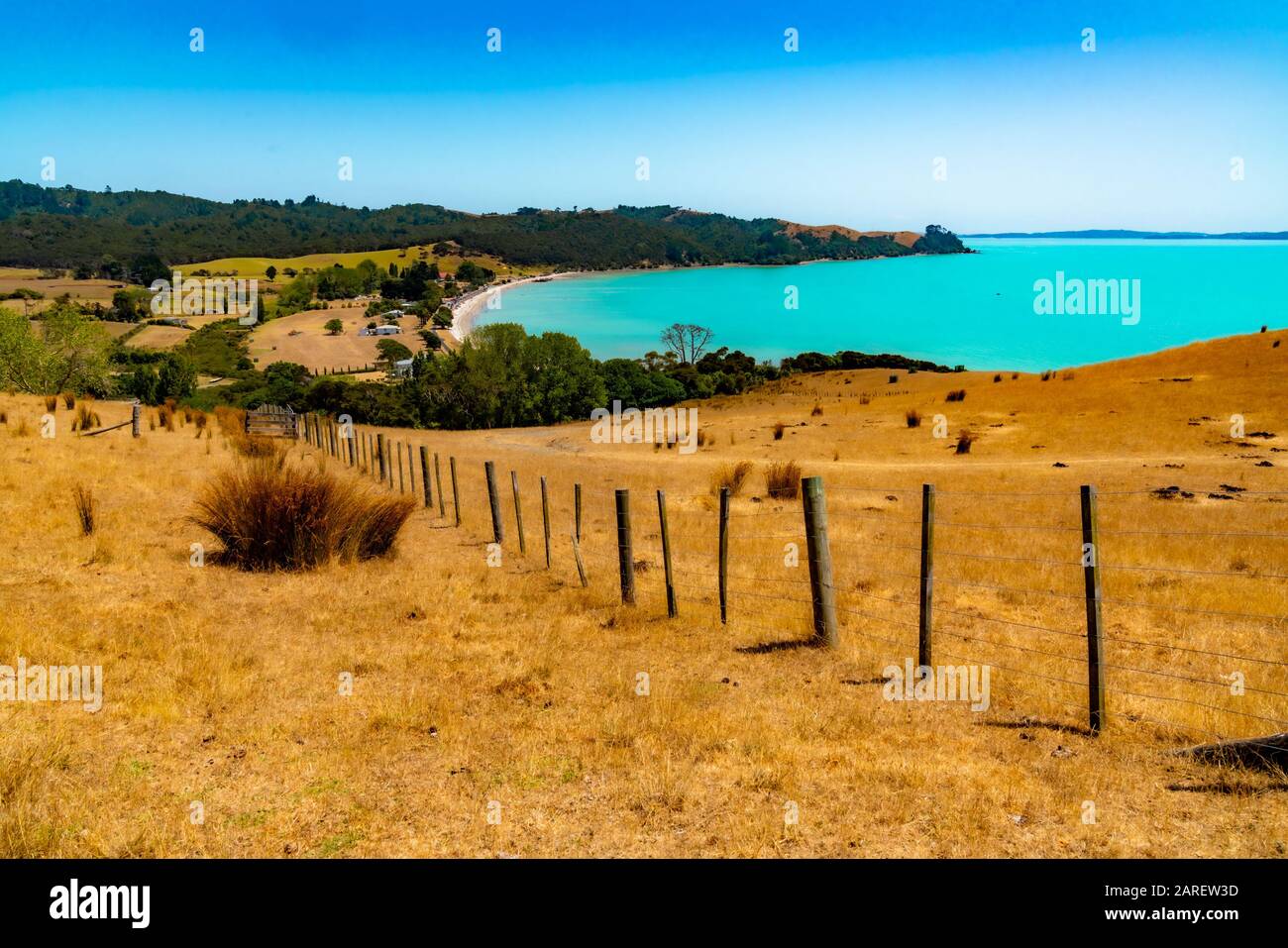 Duder regional park new zealand hi-res stock photography and images - Alamy
