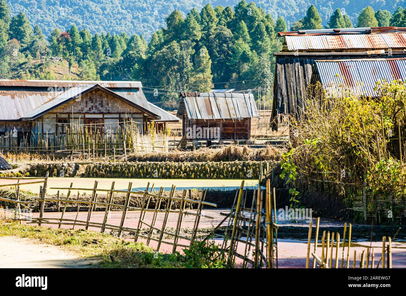 Typical rice fields and village structure of the Apatani tribe Stock ...
