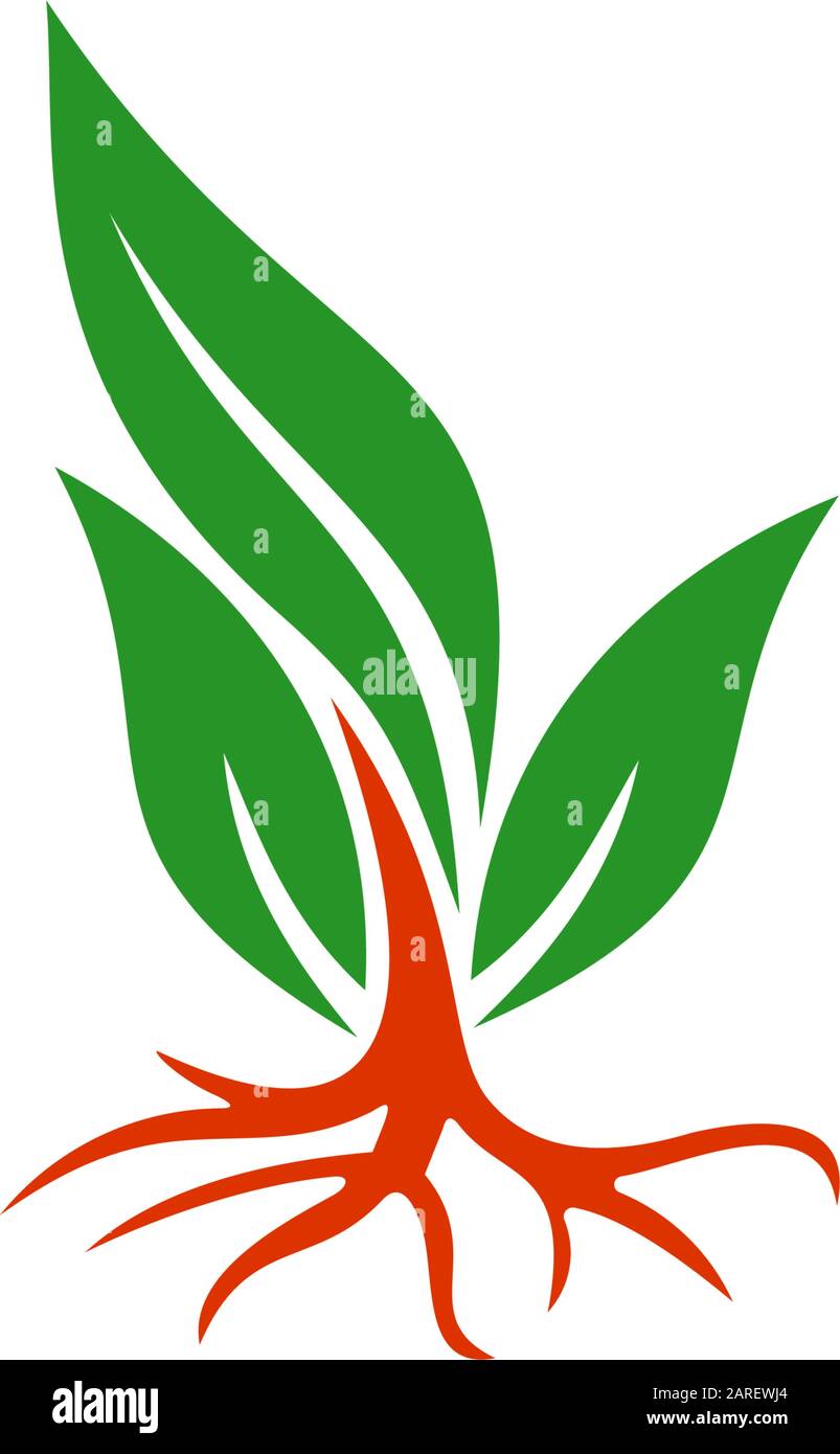 symbol vector of tree root curves colorful geometric design Stock ...