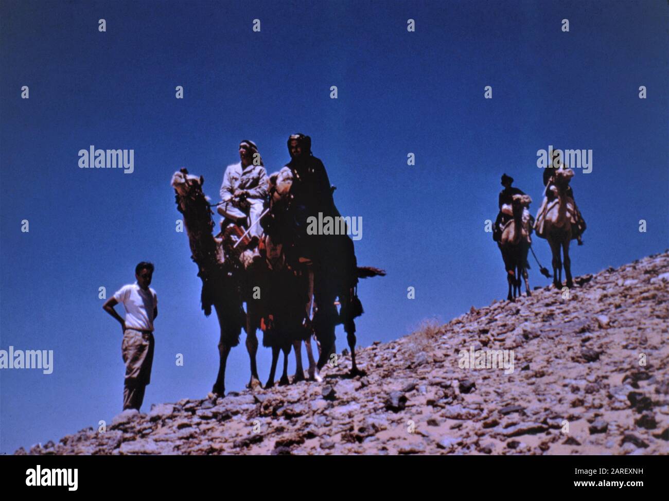 Director DAVID LEAN PETER O'TOOLE as T.E.Lawrence OMAR SHARIF as Sherif ...
