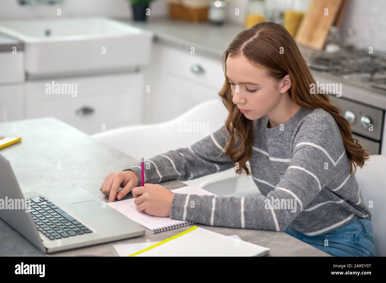 Pretty girl with long hair doing homework Stock Photo - Alamy