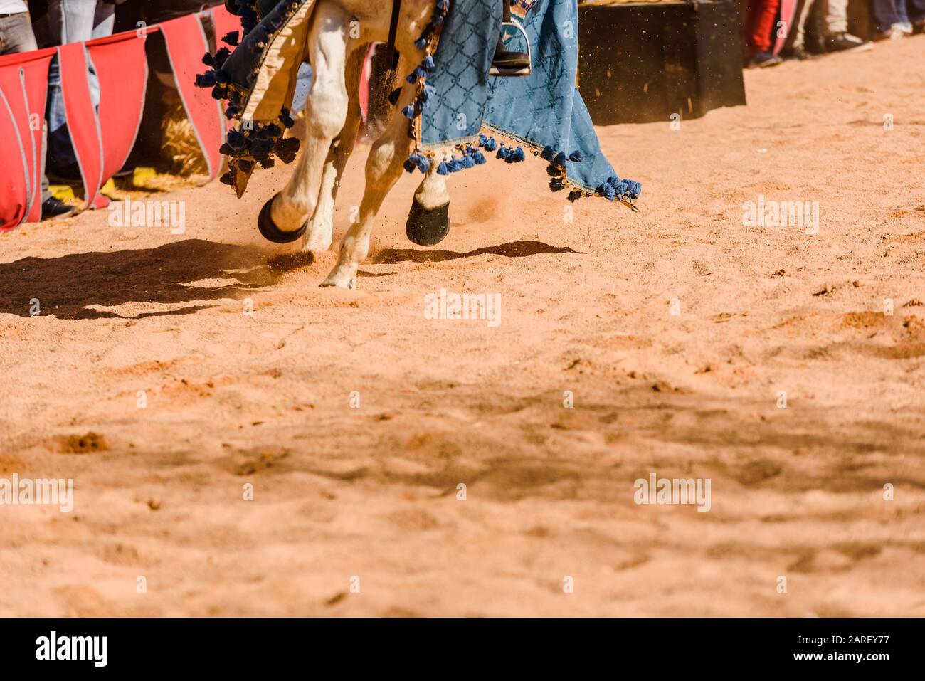 Detail of the legs of galloping horses adorned as medieval mounts ...