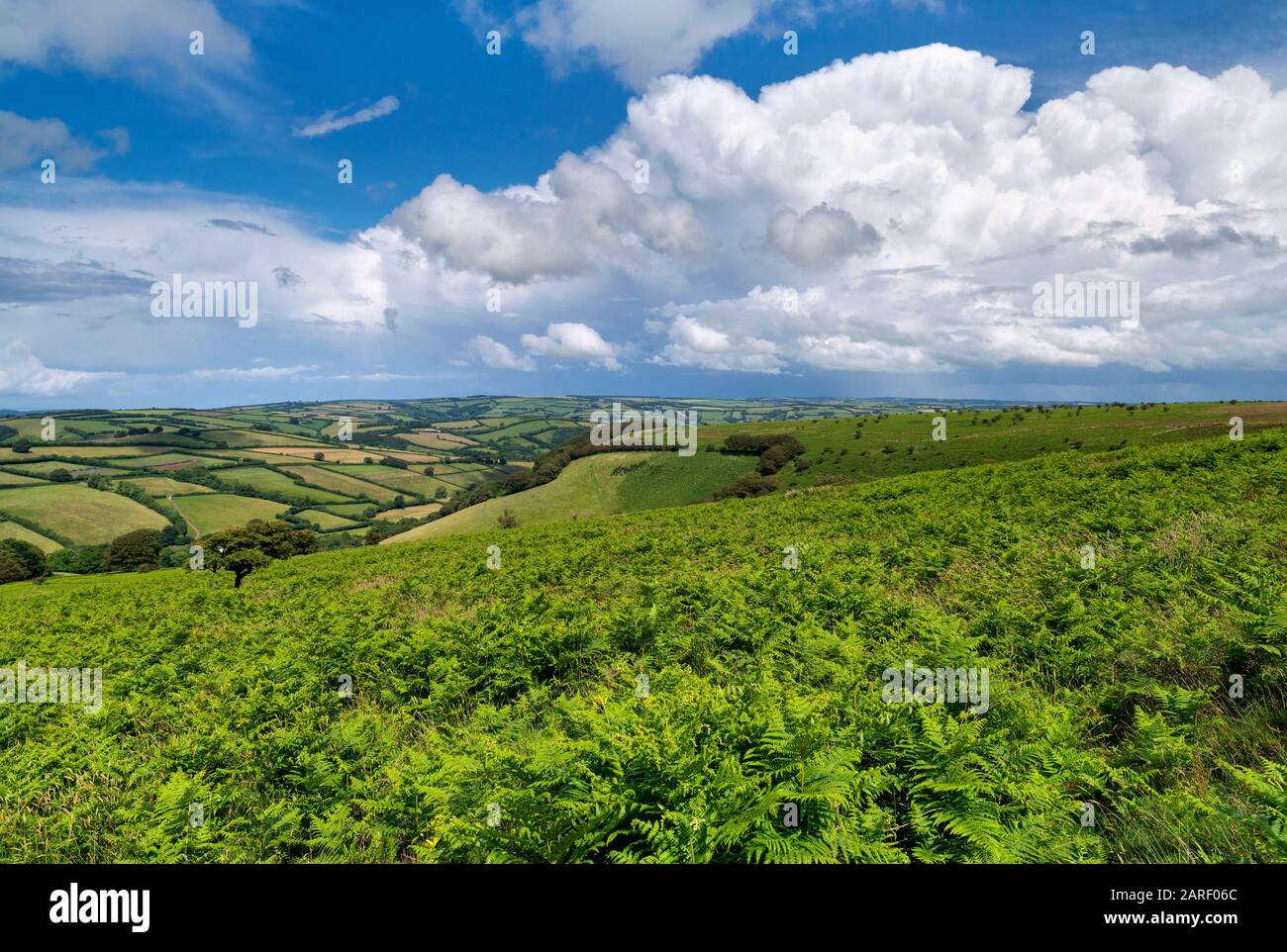 Rugged hills hi-res stock photography and images - Alamy