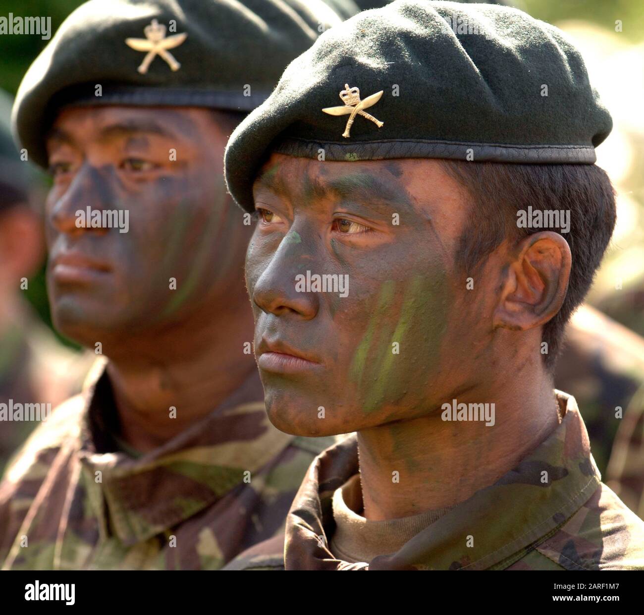 Defence afghanistan rifles hi-res stock photography and images - Alamy