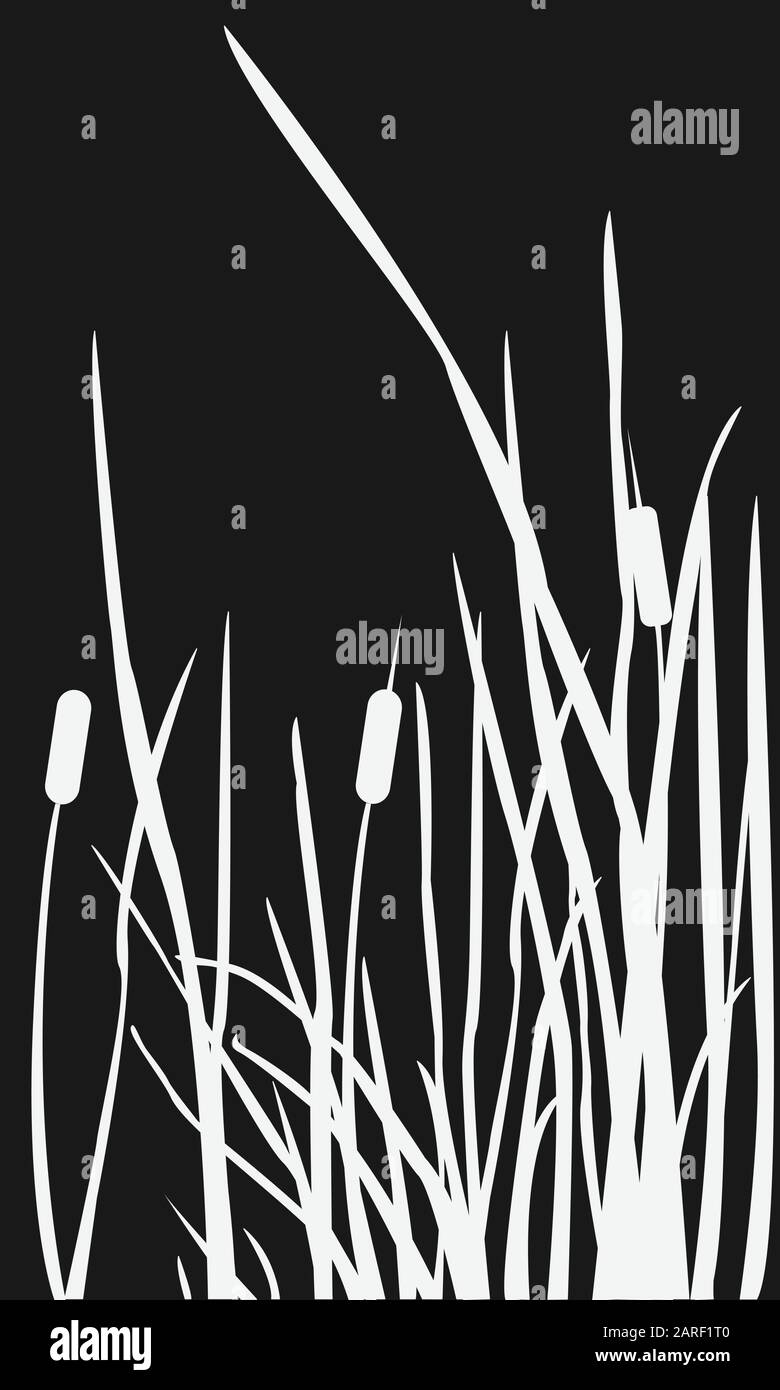 Bush of Swamp Reed on a Lake. vector Illustration Stock Vector Image ...