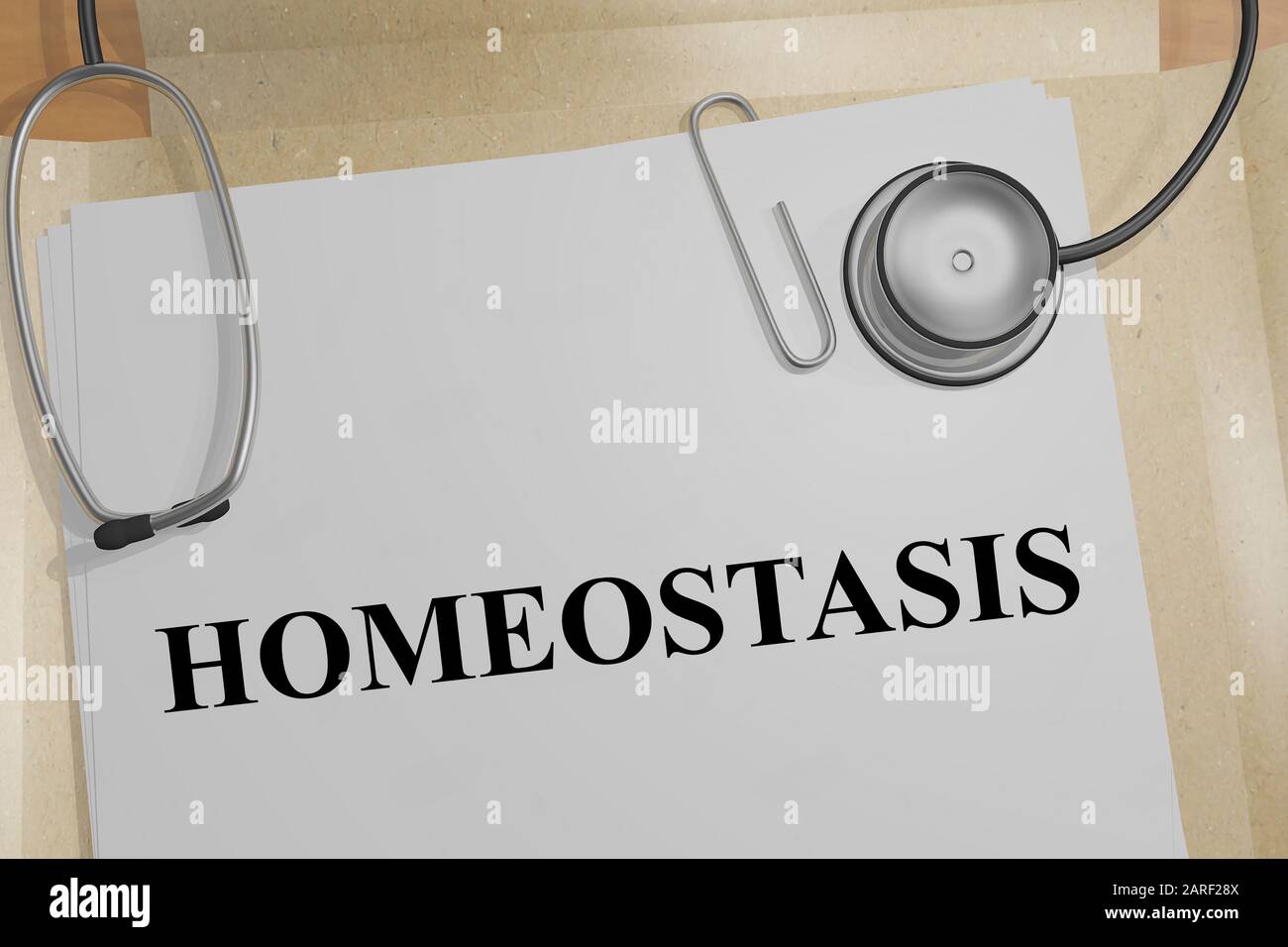 Homeostasis hi-res stock photography and images - Alamy