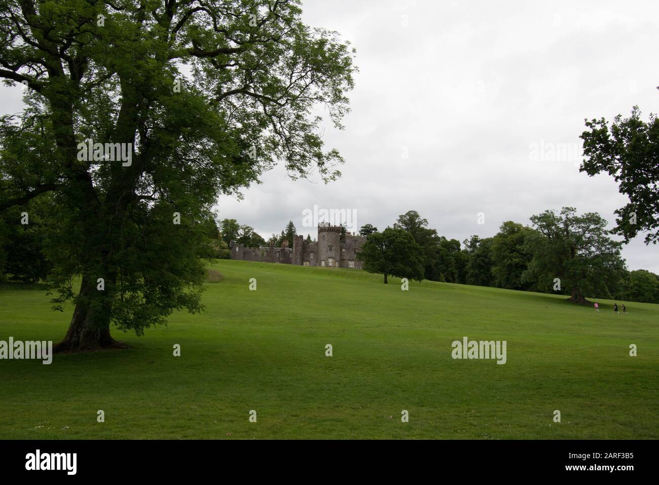 Ballock hi-res stock photography and images - Alamy