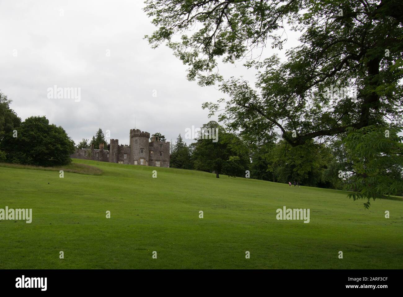 Ballock hi-res stock photography and images - Alamy