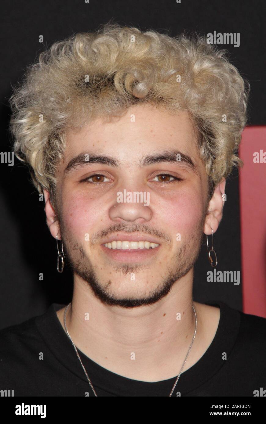 Los Angeles, USA. 21st Jan, 2020. Sam Pottorff 01/21/2020 The Premiere ...