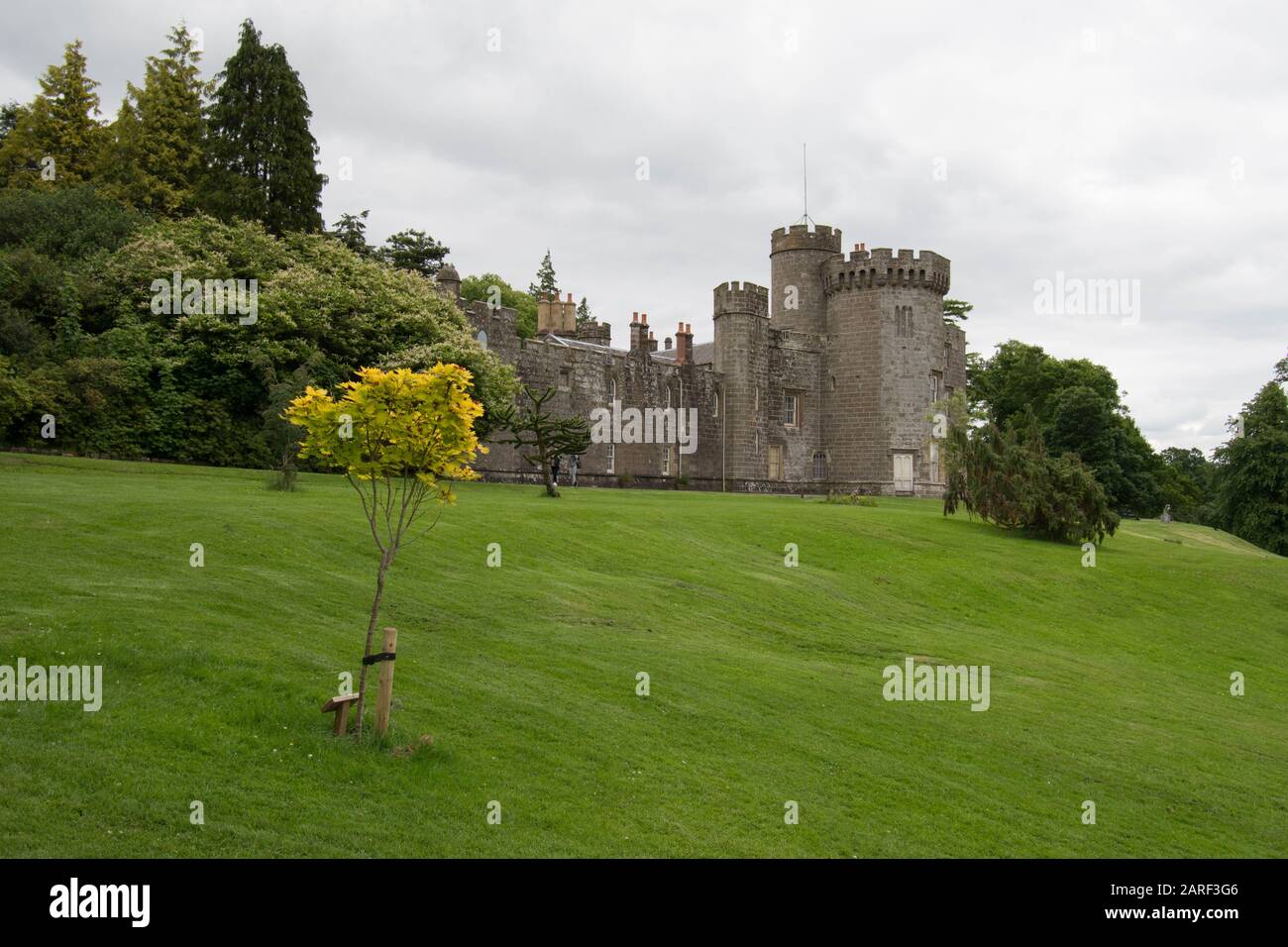 Ballock hi-res stock photography and images - Alamy
