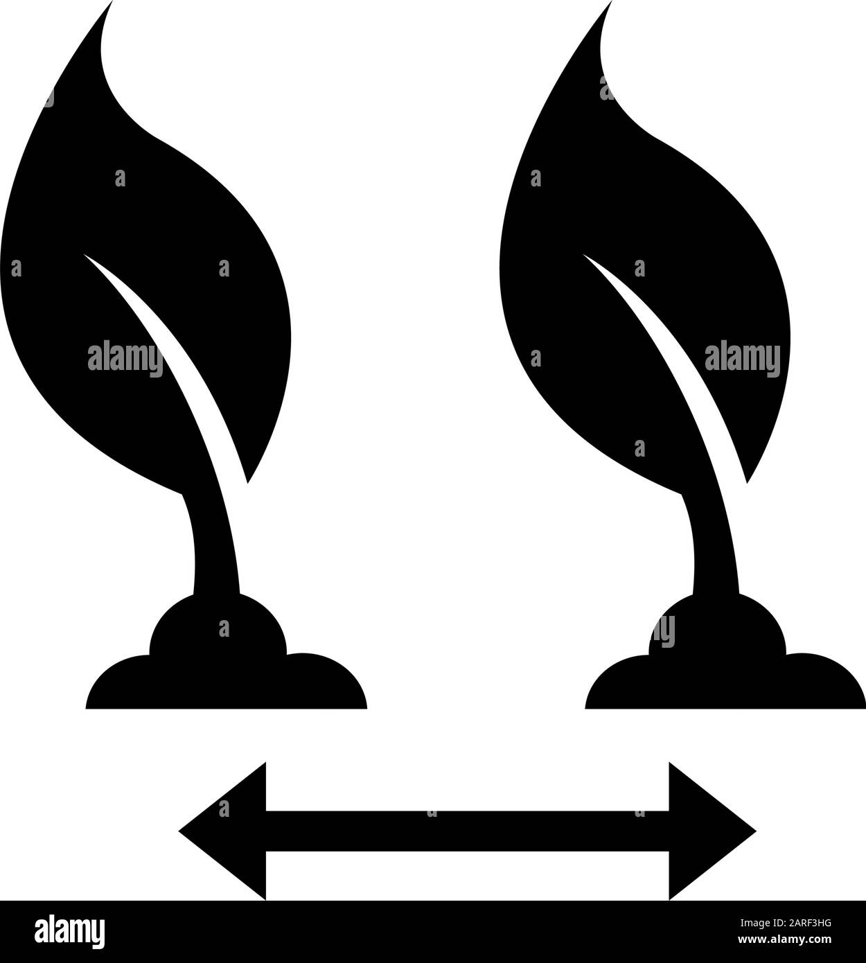 Proper Planting. Spacing Between Plants. Flat Vector Icon illustration ...