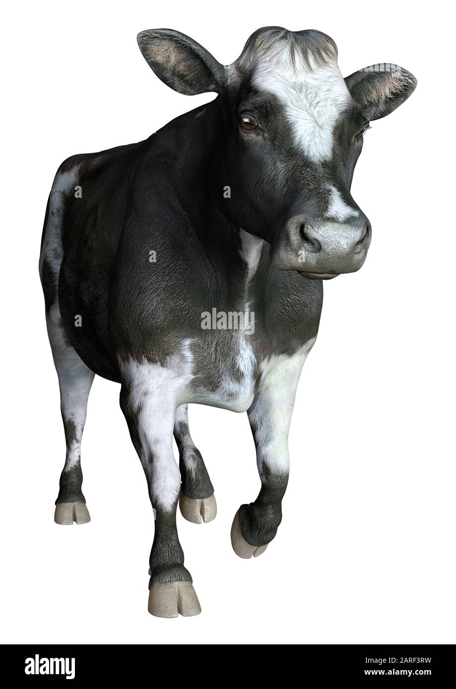 3D rendering of a cow isolated on white background Stock Photo - Alamy