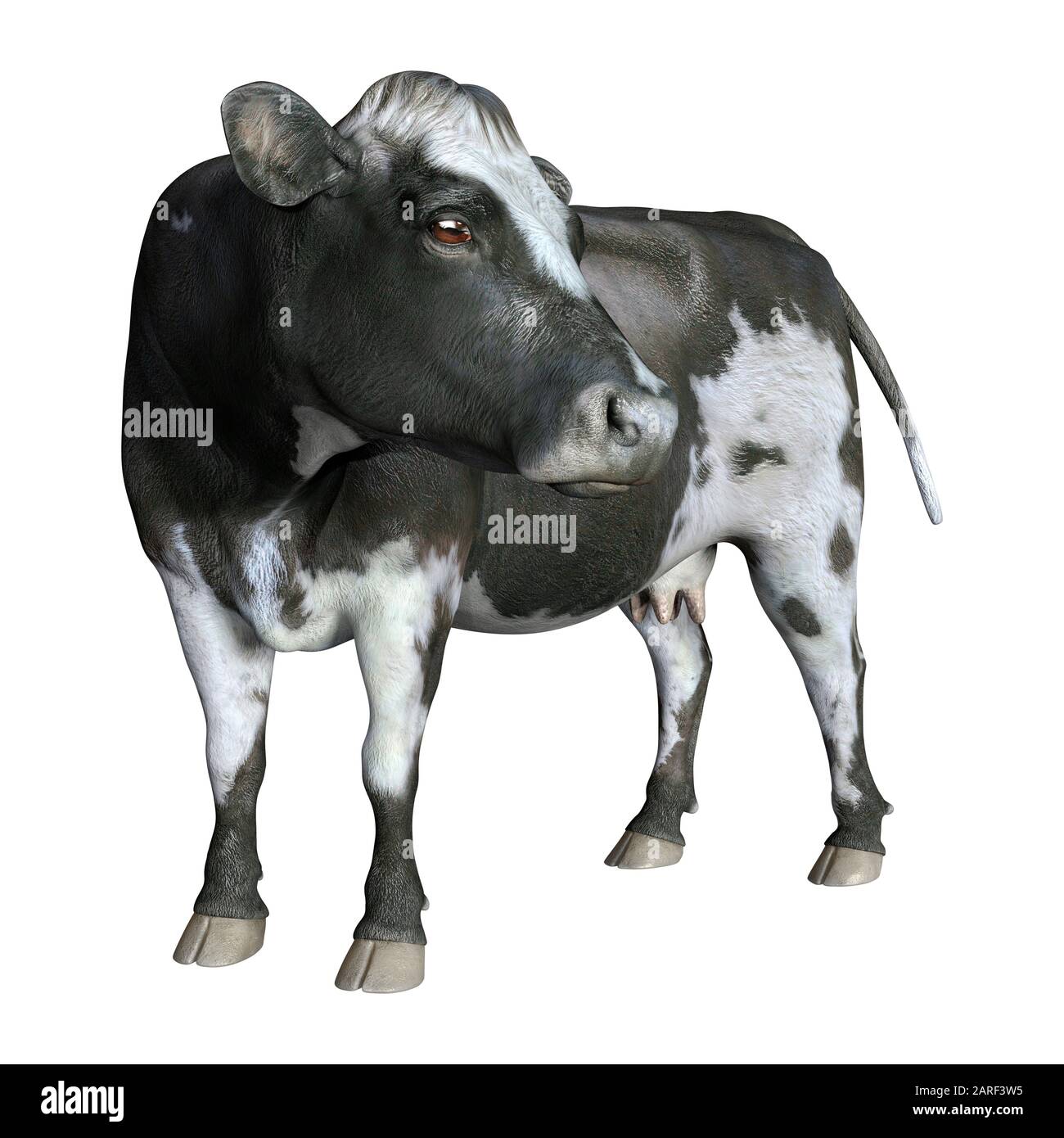 3D rendering of a cow isolated on white background Stock Photo - Alamy