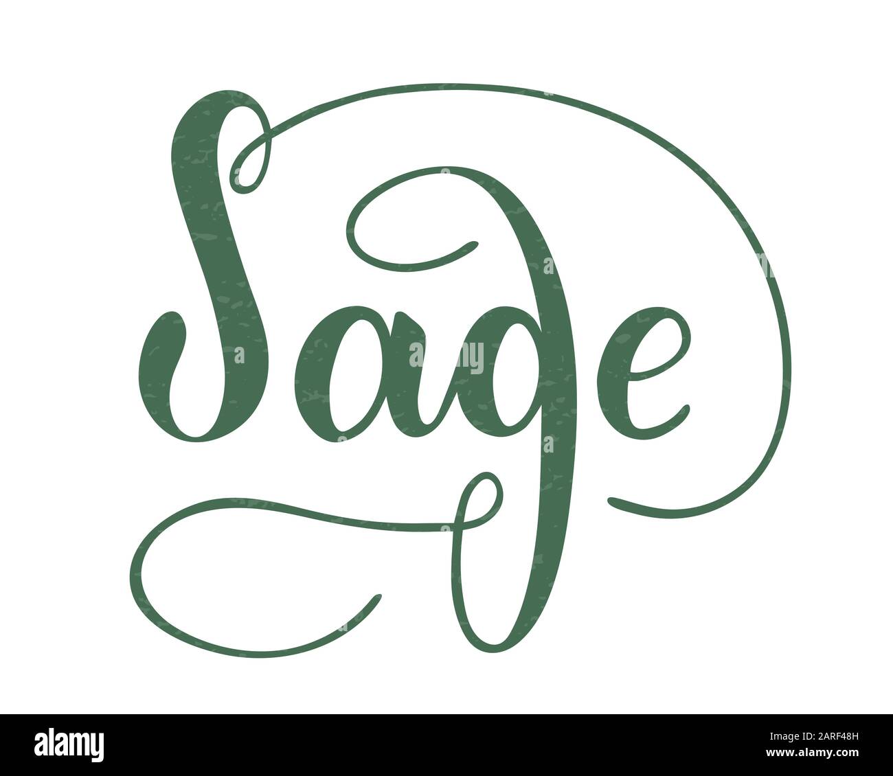 Vector hand written sage text isolated on white background. Kitchen ...