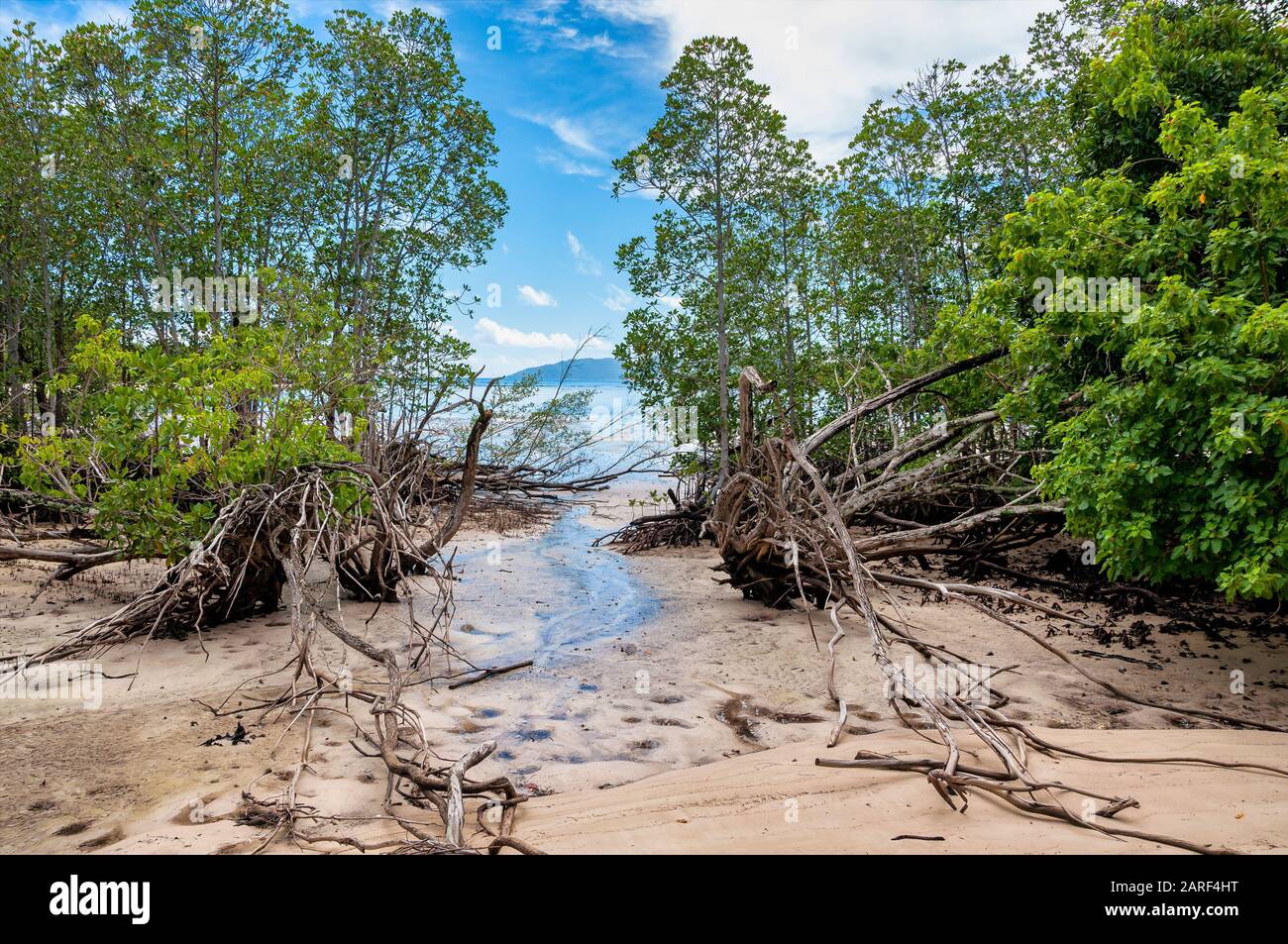 Tropical island Curieuse at Seychelles in the Indian Ocean, Africa ...