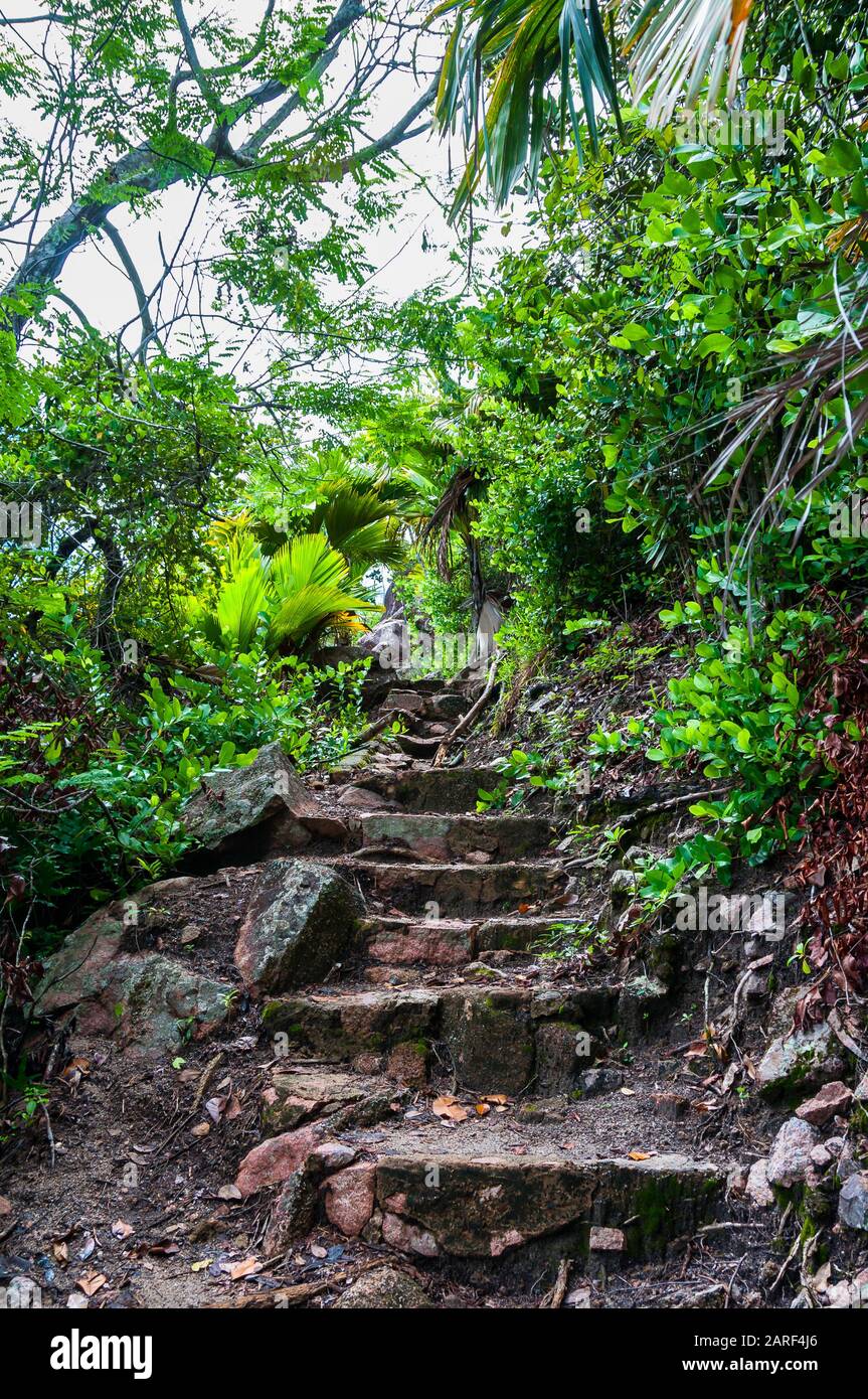 Tropical island Curieuse at Seychelles in the Indian Ocean, Africa ...