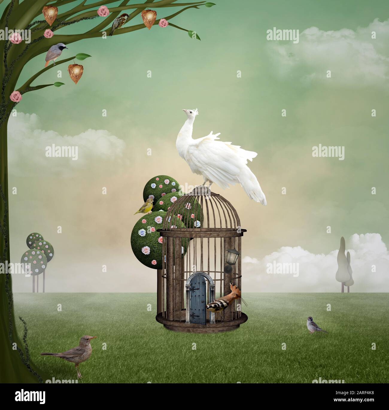 Bird cage open hi-res stock photography and images - Alamy