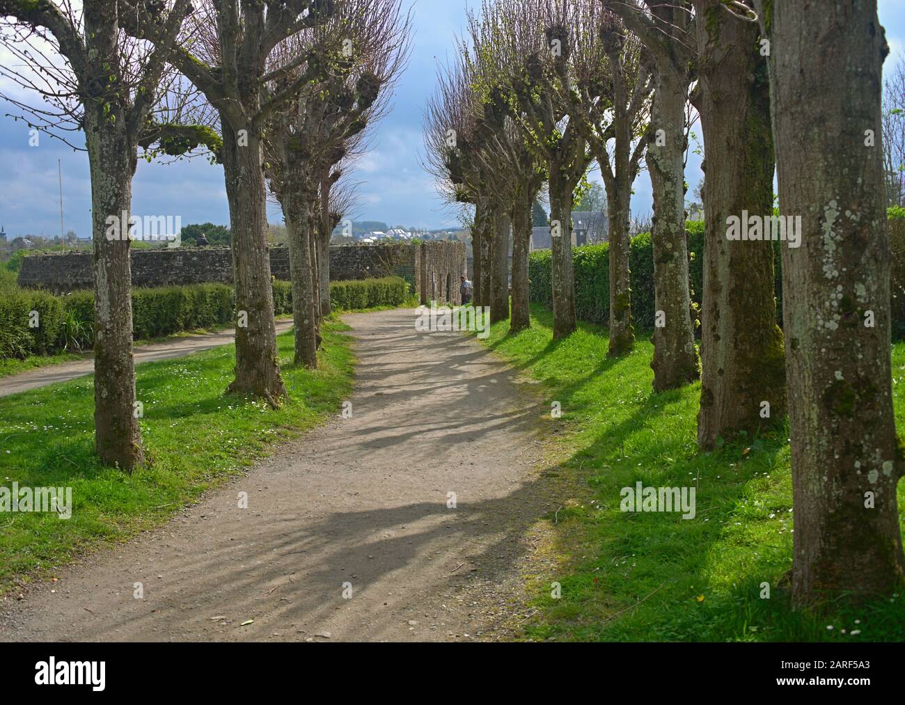 Green trees on both sides of the trail hi-res stock photography and ...