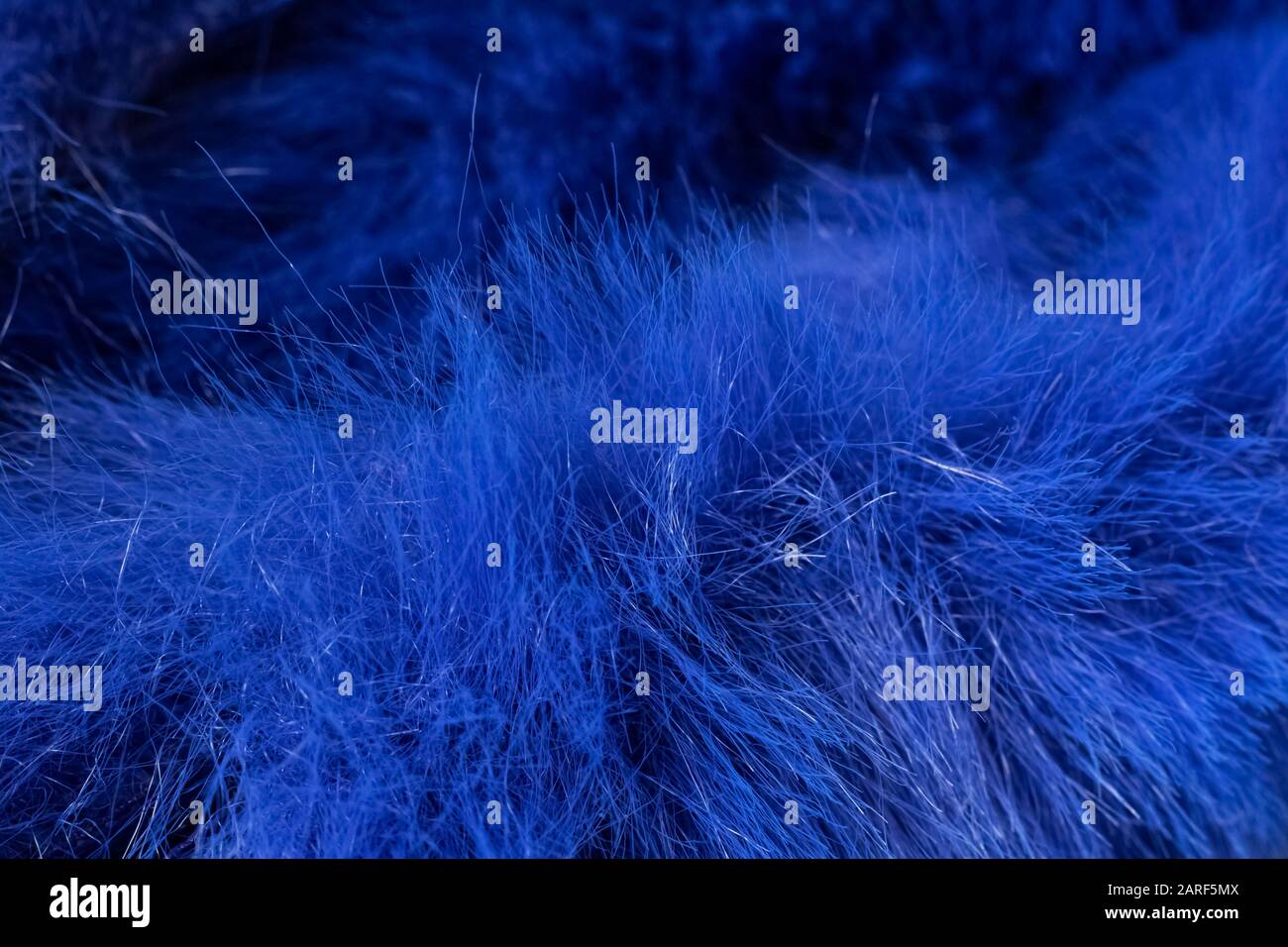Blue fur close up, background or texture Stock Photo - Alamy