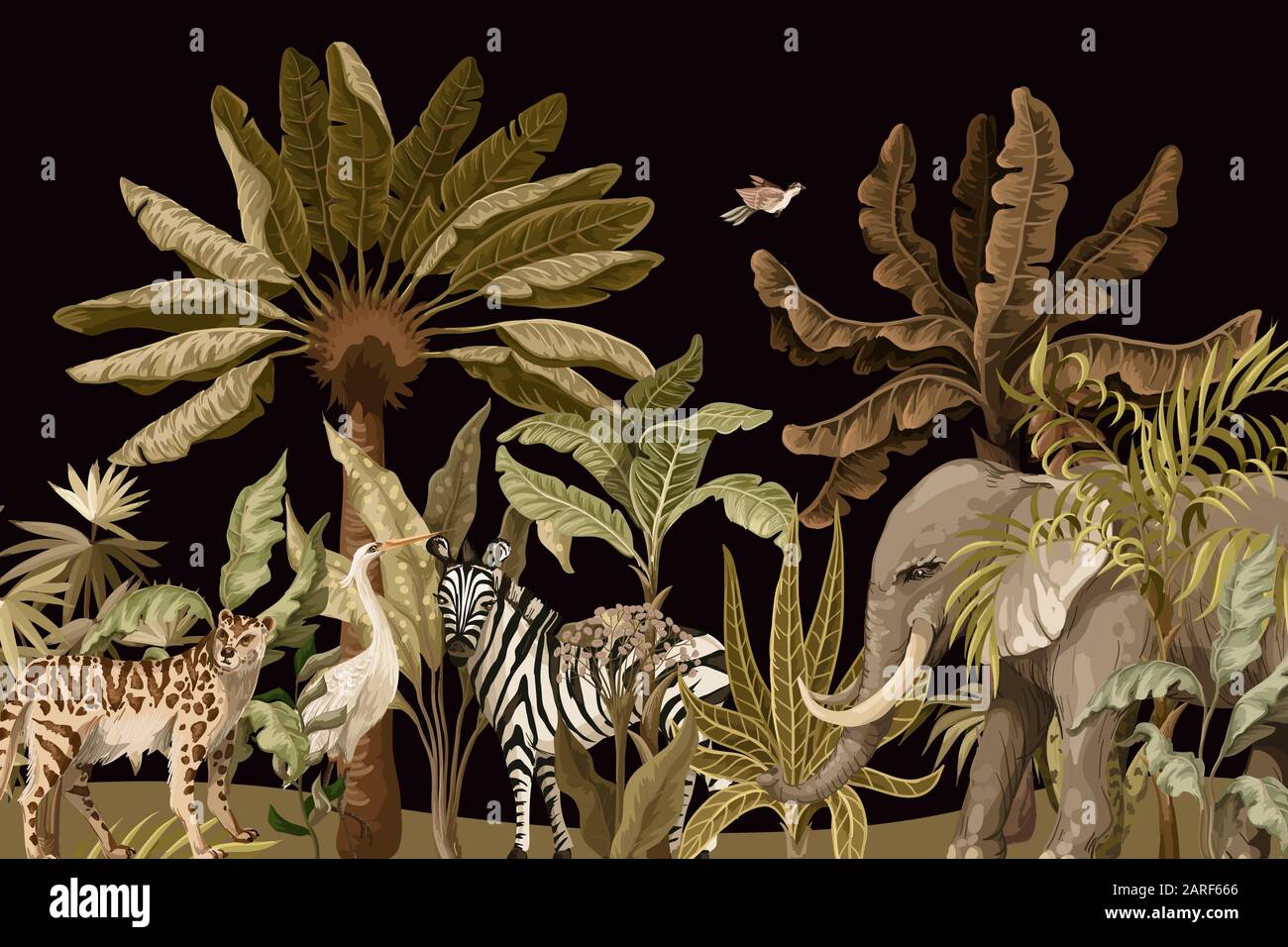 Elephant bird drawing hi-res stock photography and images - Alamy