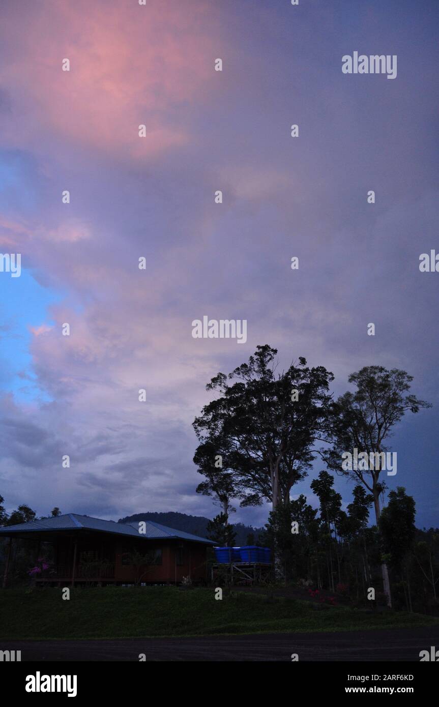 Miri, Sarawak / Malaysia - October 7, 2019: The Reforestations Projects ...