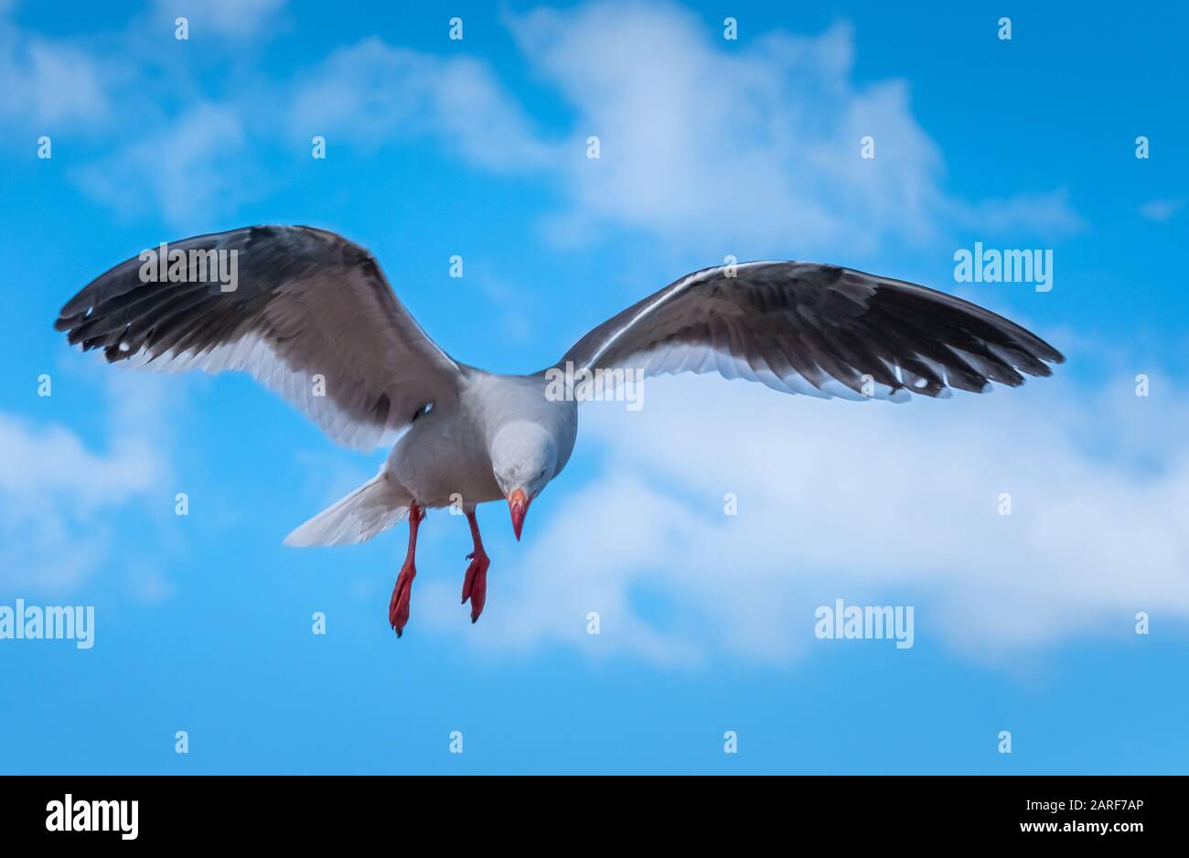 Hms andes hi-res stock photography and images - Alamy