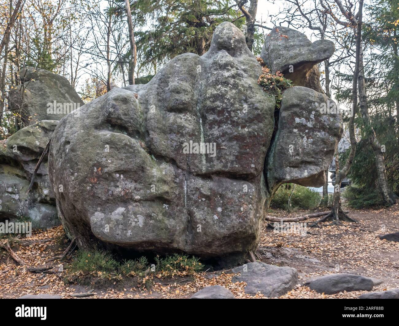 Rock of the elephant hi-res stock photography and images - Alamy