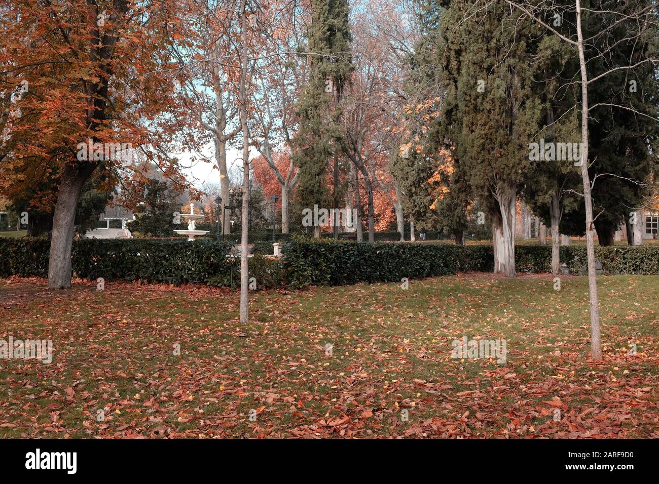 autumn in the trees and plants of the Retiro park in Madrid Stock Photo ...