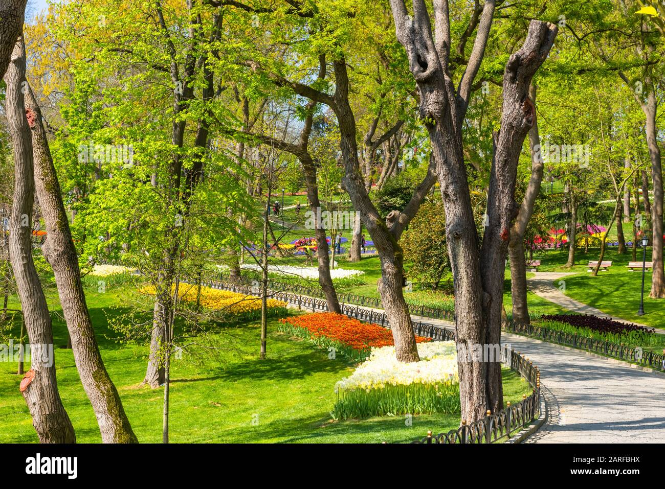 Colorful flower beds during the annual April tulip festival in Istanbul ...