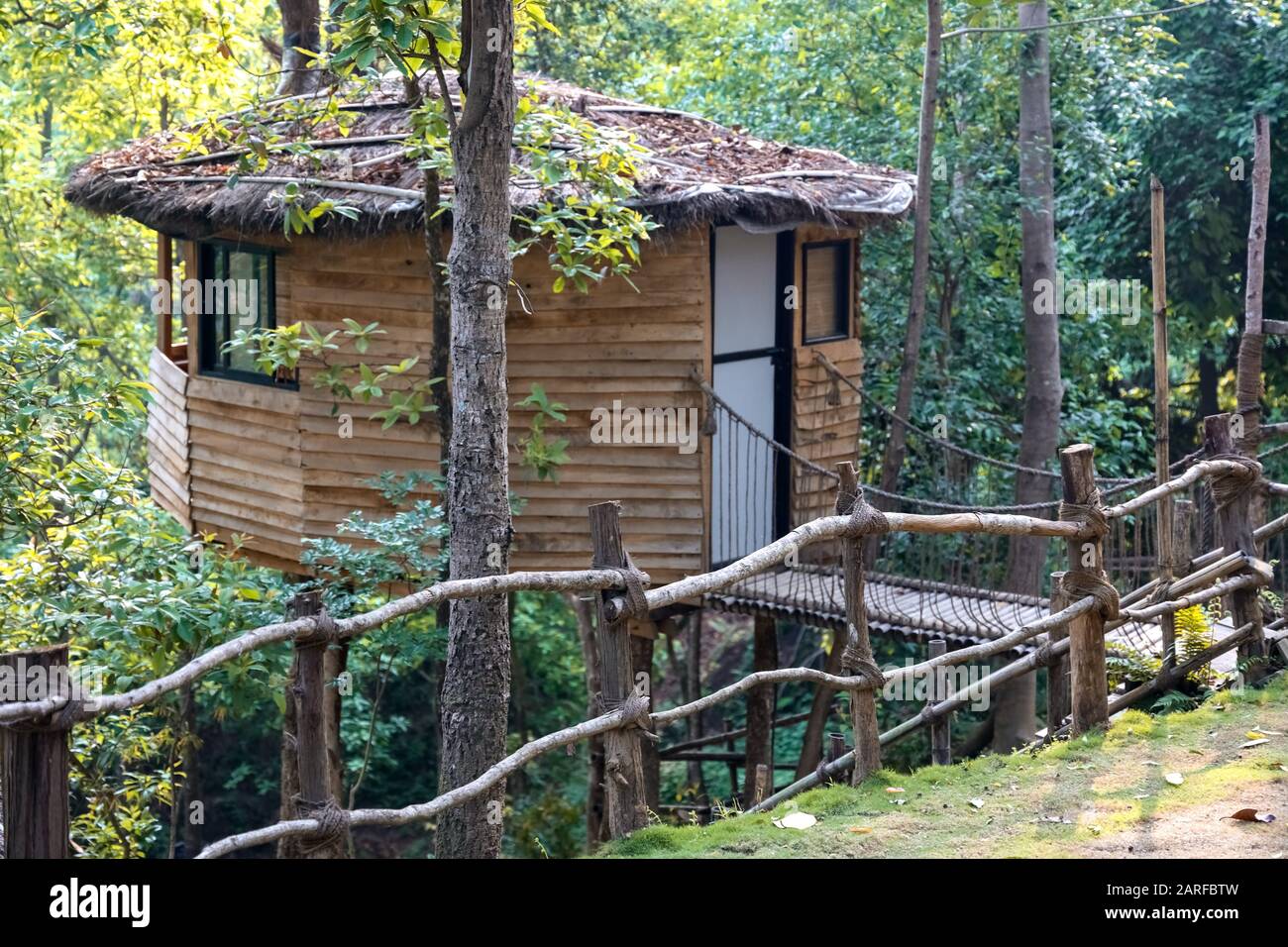 Old house in middle forest hi-res stock photography and images - Alamy