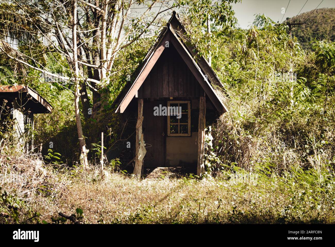 This unique photo shows a small old abandoned wooden witch house in the ...