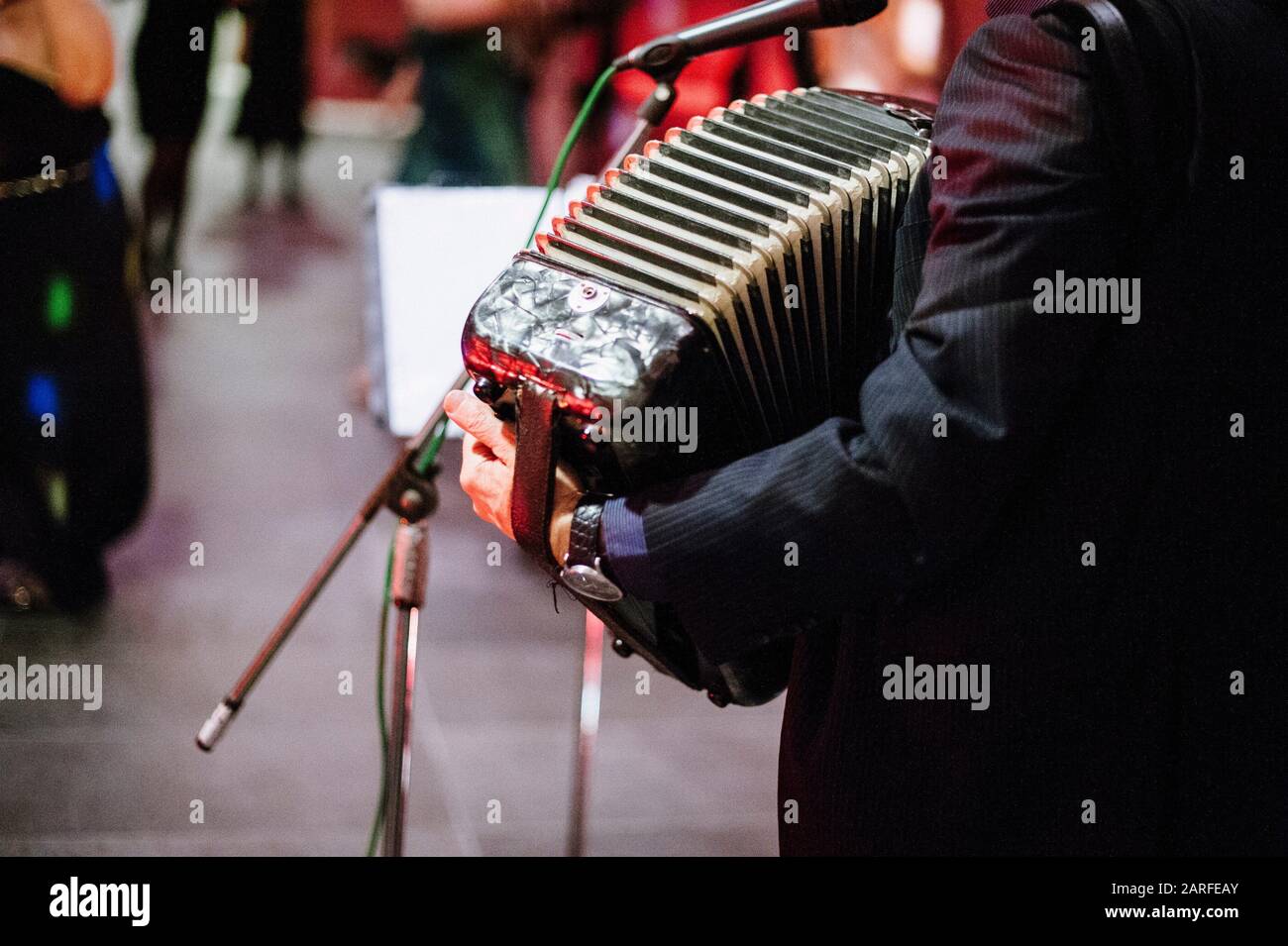 Musician plays the accordion Stock Photo - Alamy