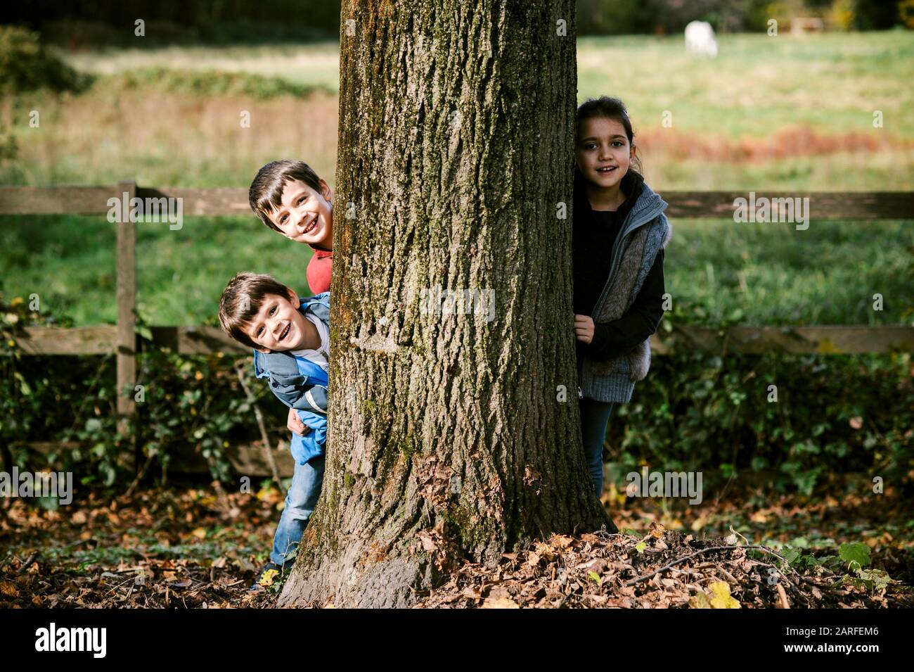 Happy family tree children 6 11 hi-res stock photography and images - Alamy