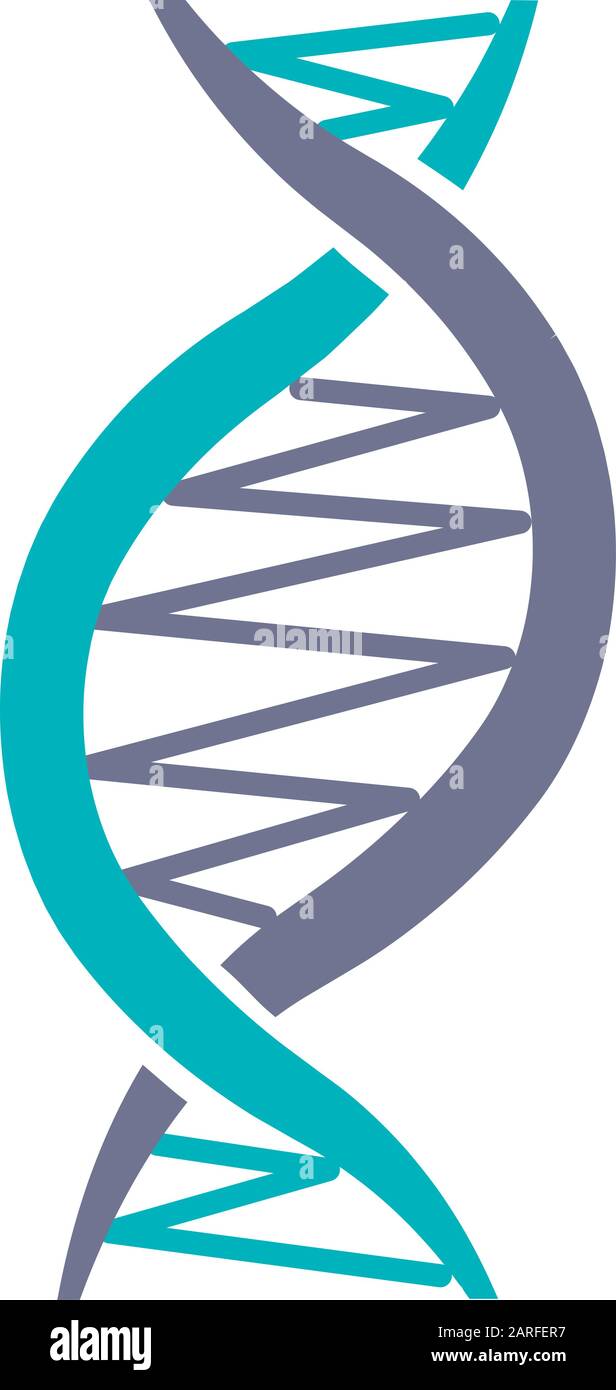 Left-handed DNA helix violet and turquoise color icon. Z-DNA ... Left-handed DNA helix violet and turquoise color icon. Z-DNA ...