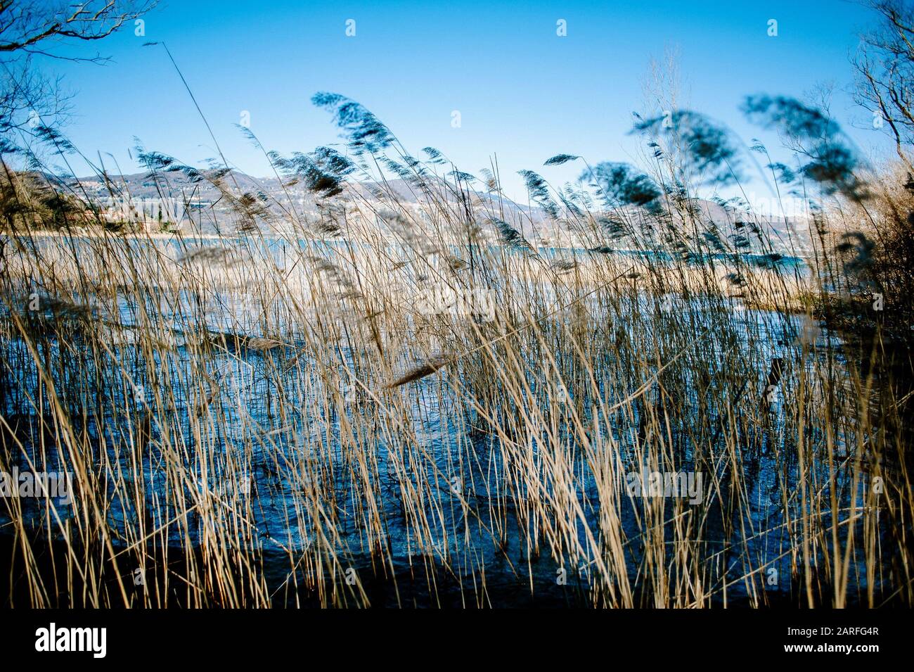 Ranco lake hi-res stock photography and images - Alamy