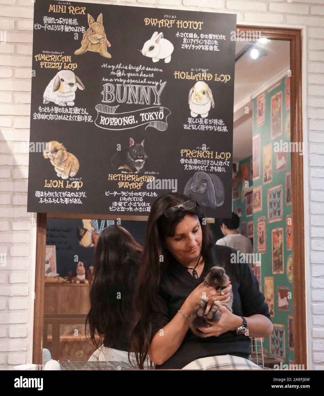 Rabbit cafe tokyo hi-res stock photography and images - Alamy