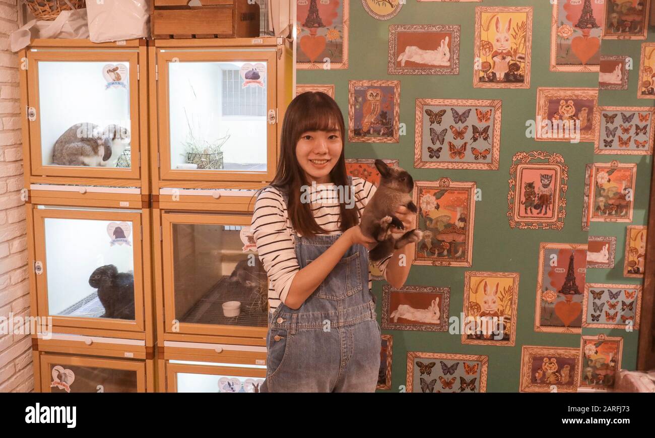 Rabbit cafe tokyo hi-res stock photography and images - Alamy