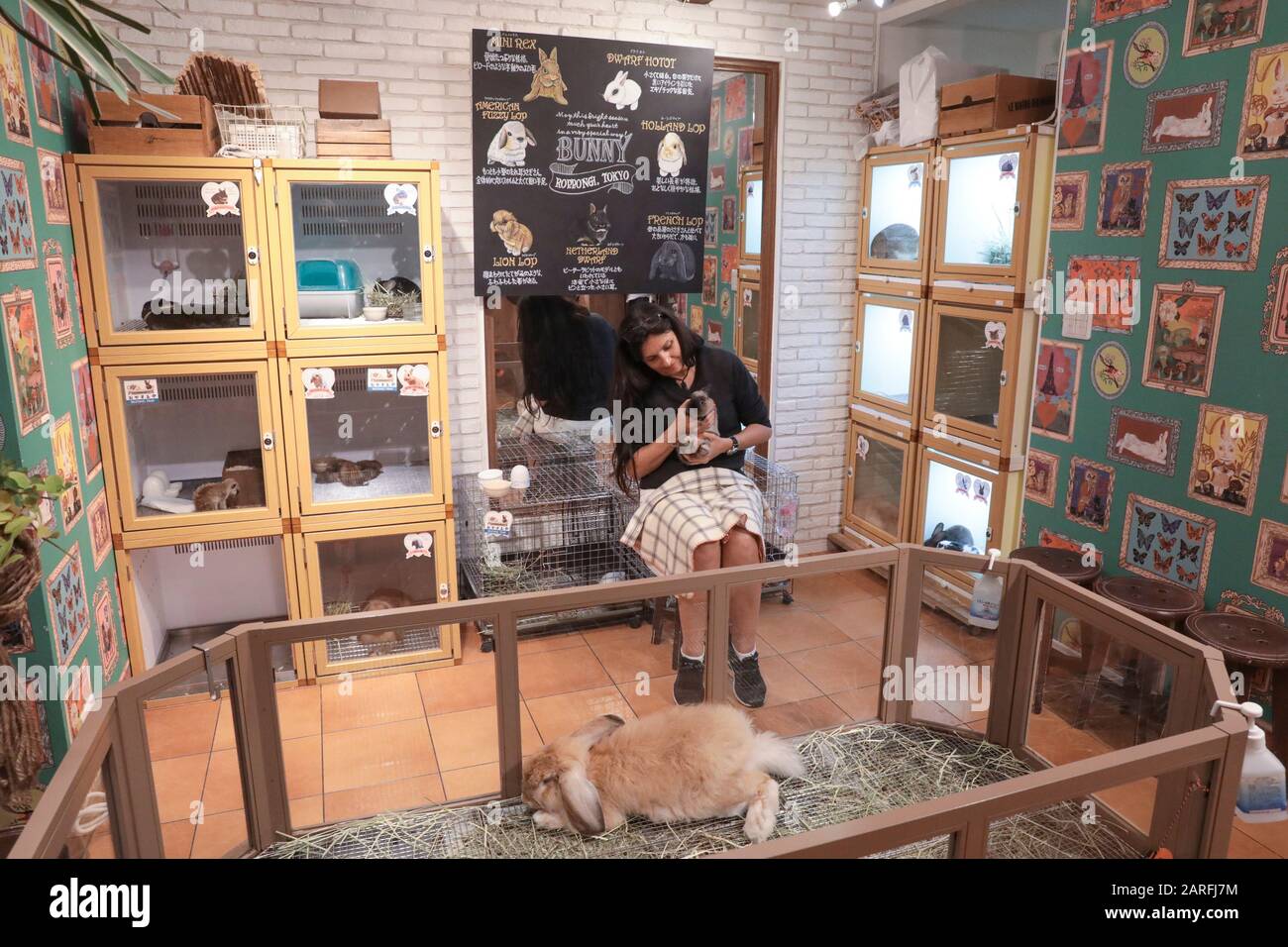 Rabbit cafe tokyo hi-res stock photography and images - Alamy