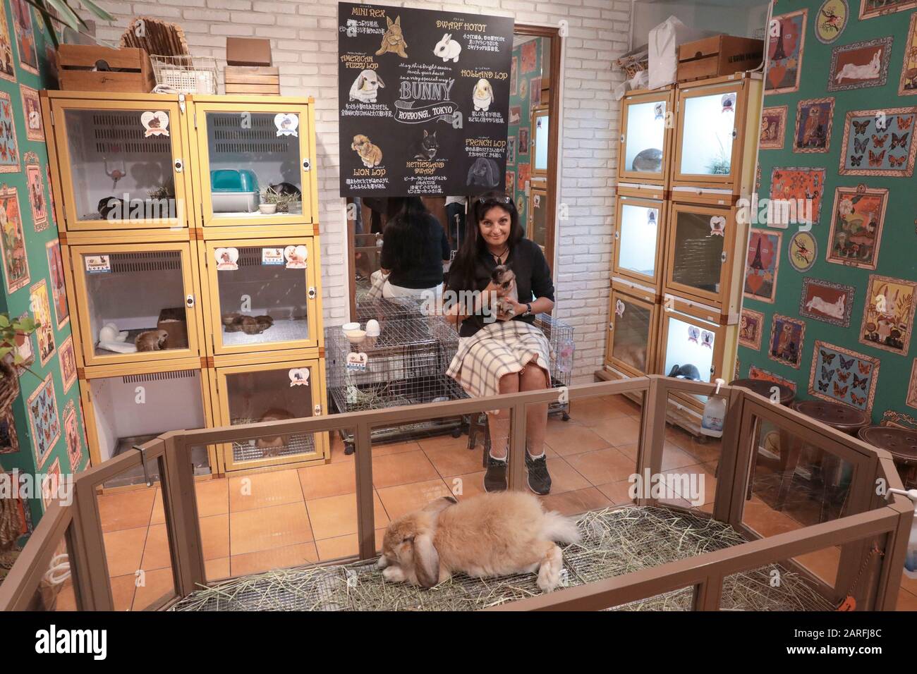 Rabbit cafe tokyo hi-res stock photography and images - Alamy